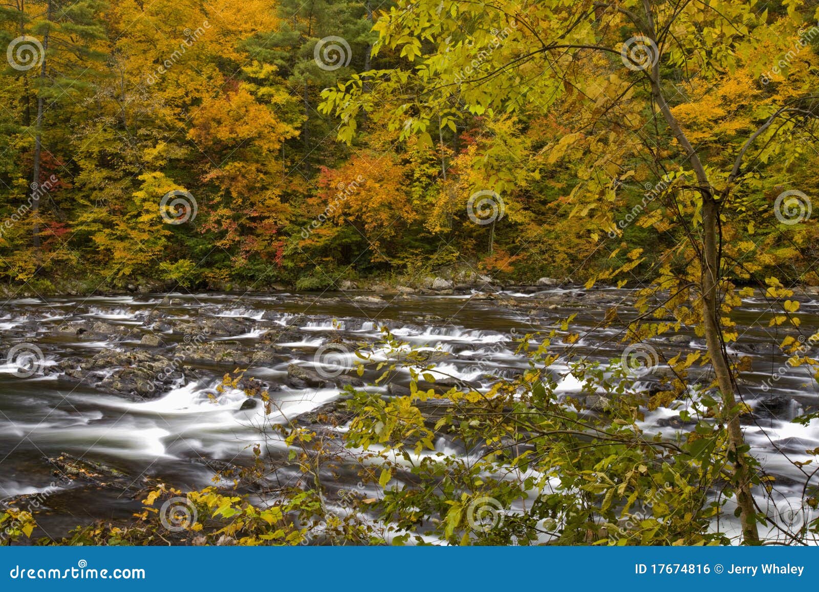 Autumn, Tellico River, Cherokee NF Stock Photo - Image of autumn ...