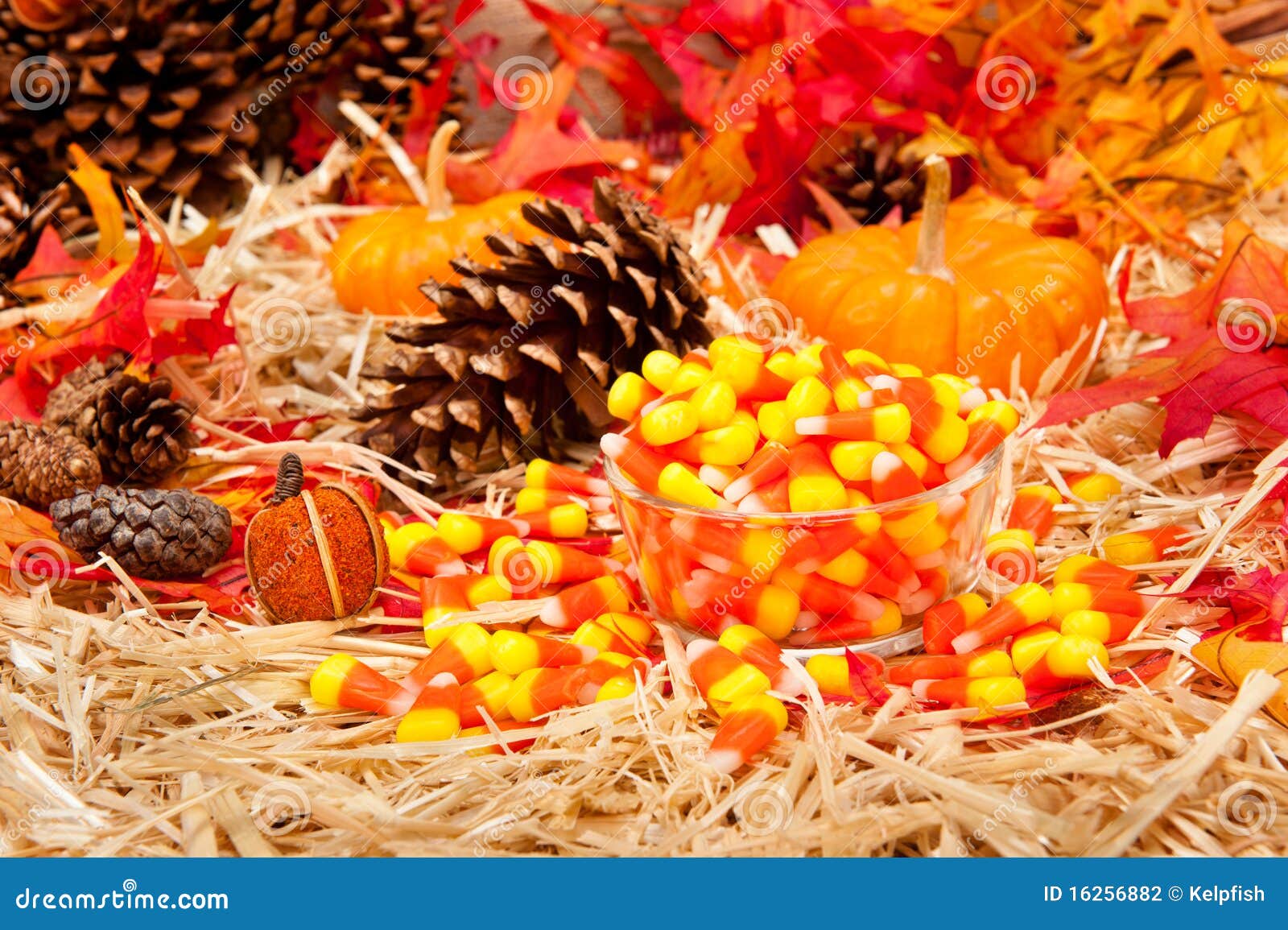 Autumn theme with candy stock photo. Image of autumn - 16256882