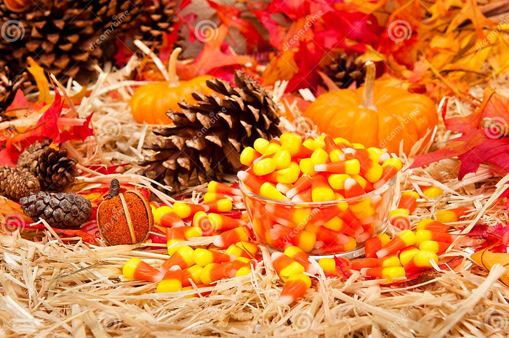 Autumn theme with candy stock photo. Image of autumn - 16256882