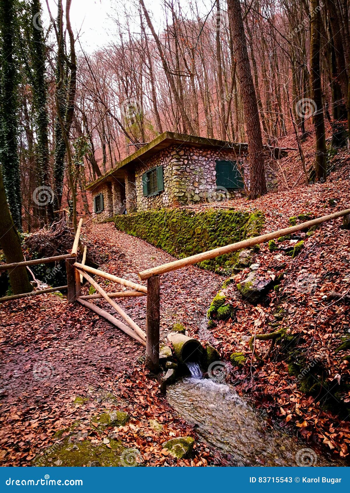 Autumn theme stock image. Image of theme, nature, autumn - 83715543