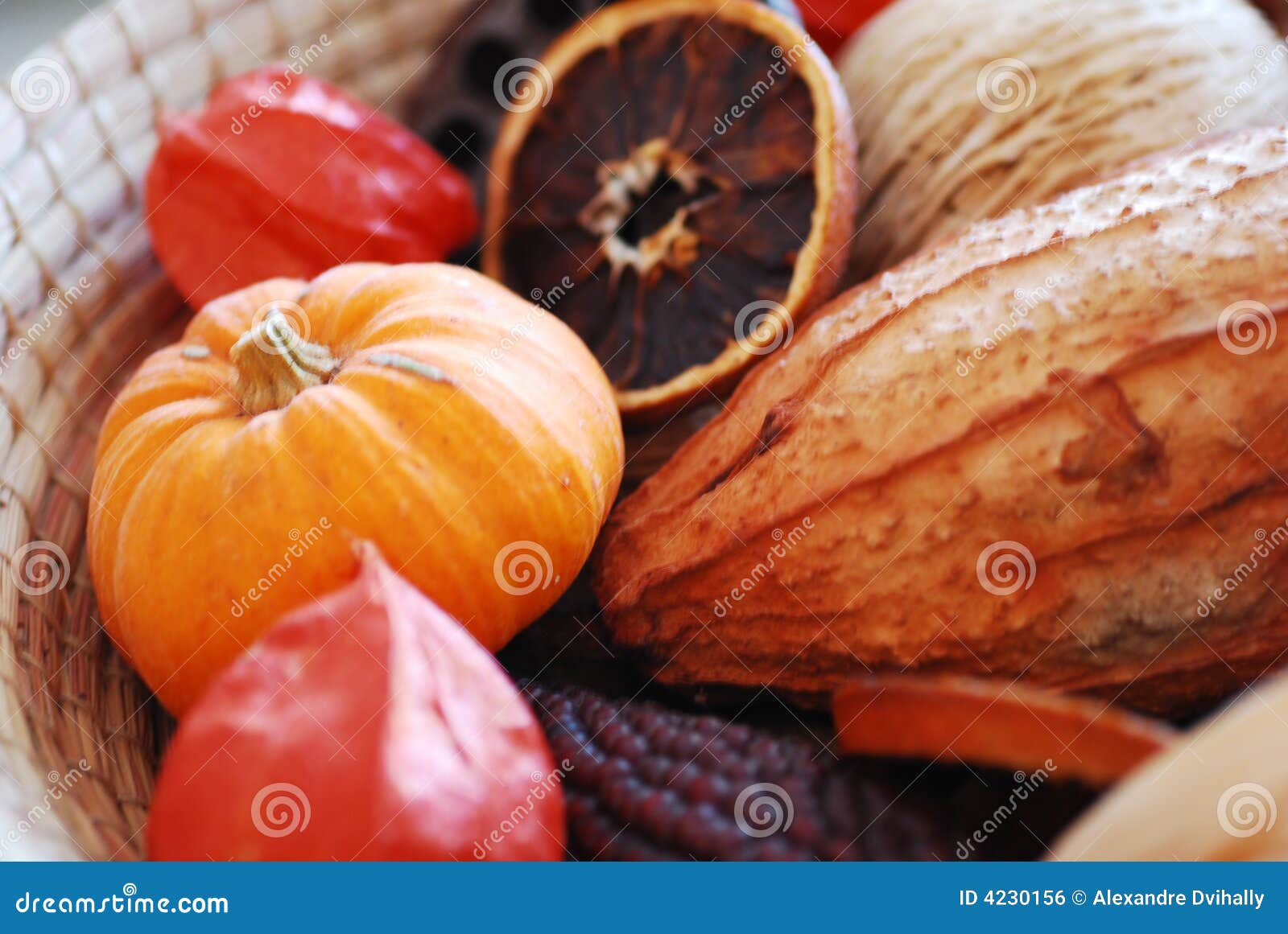 Autumn things composition stock photo. Image of composition - 4230156