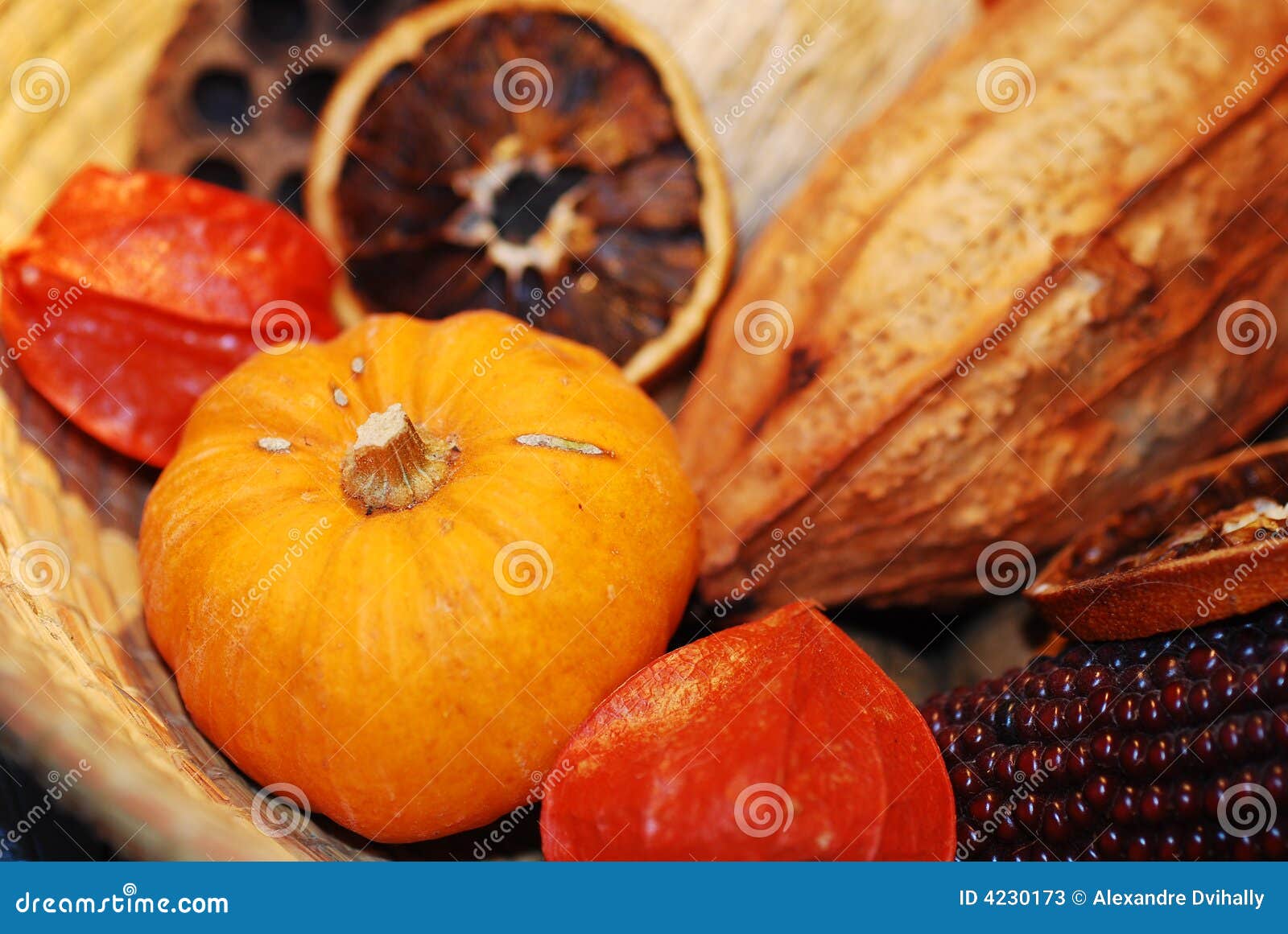 Autumn Things Composition Stock Photos - Image: 4230173