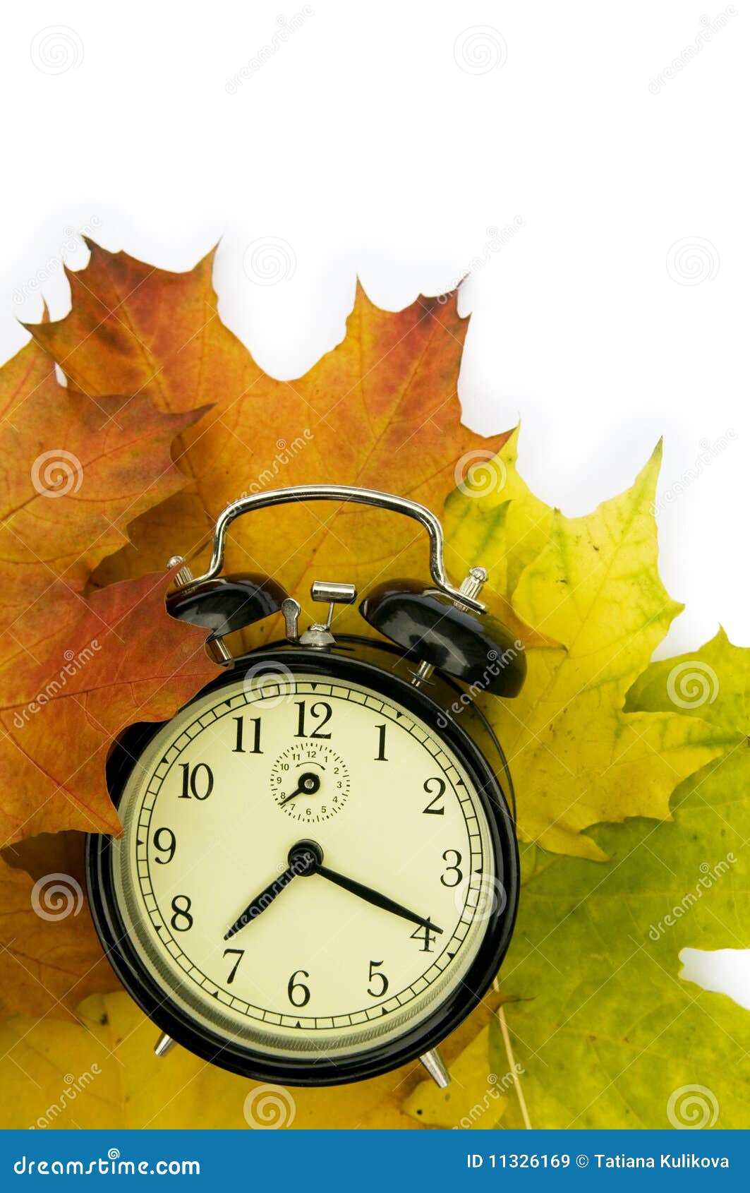 Autumn time stock image. Image of decline, concepts, instrument - 11326169