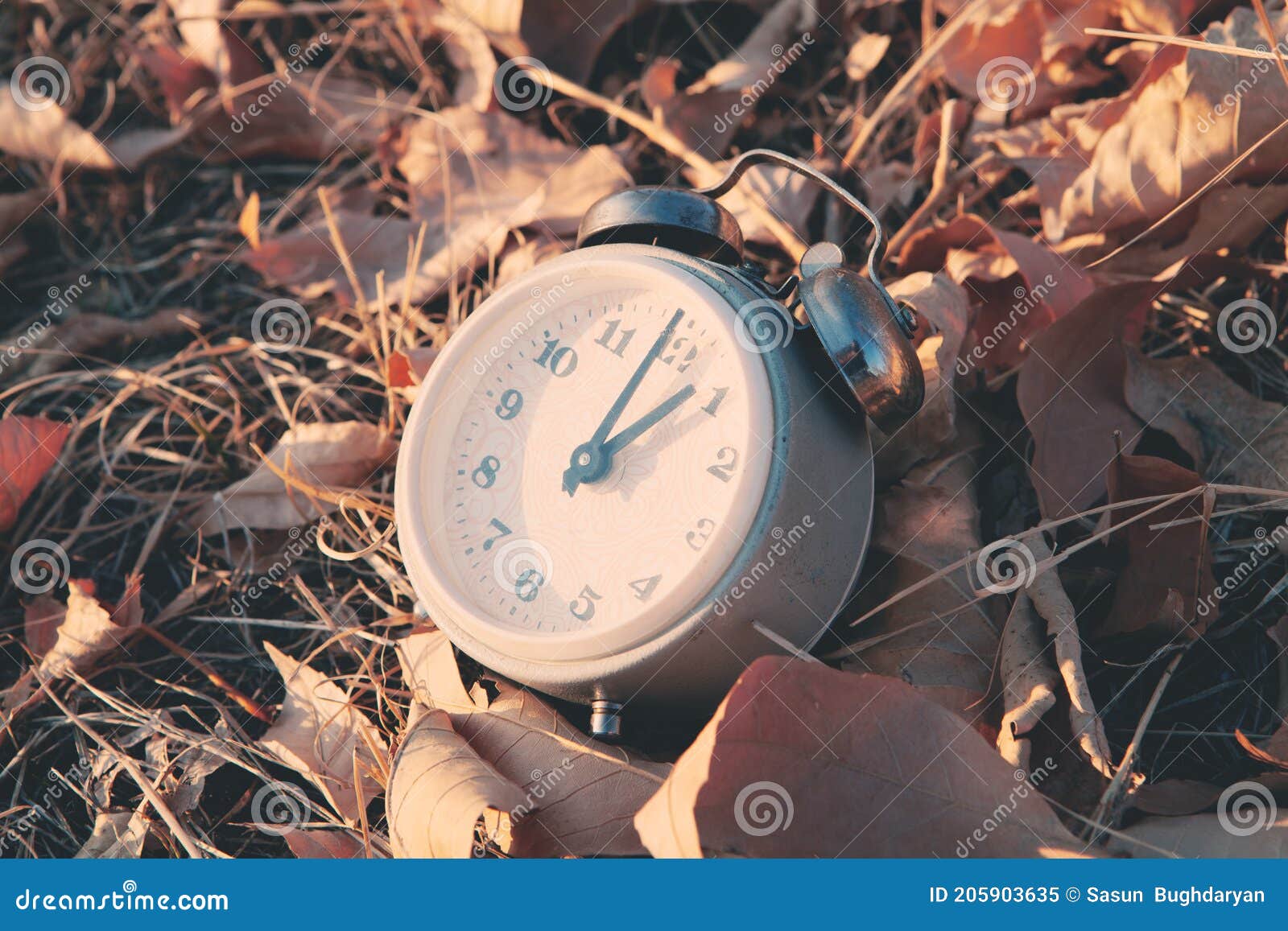 Autumn Time - Fall Leaves with Alarm Clock on Fall Foliage Background ...