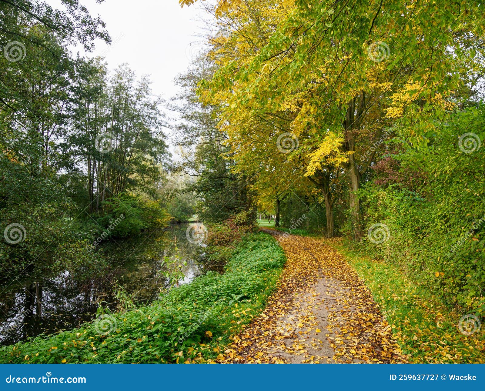 Autumn Time at a River in Germany Stock Image - Image of borken, autumn ...