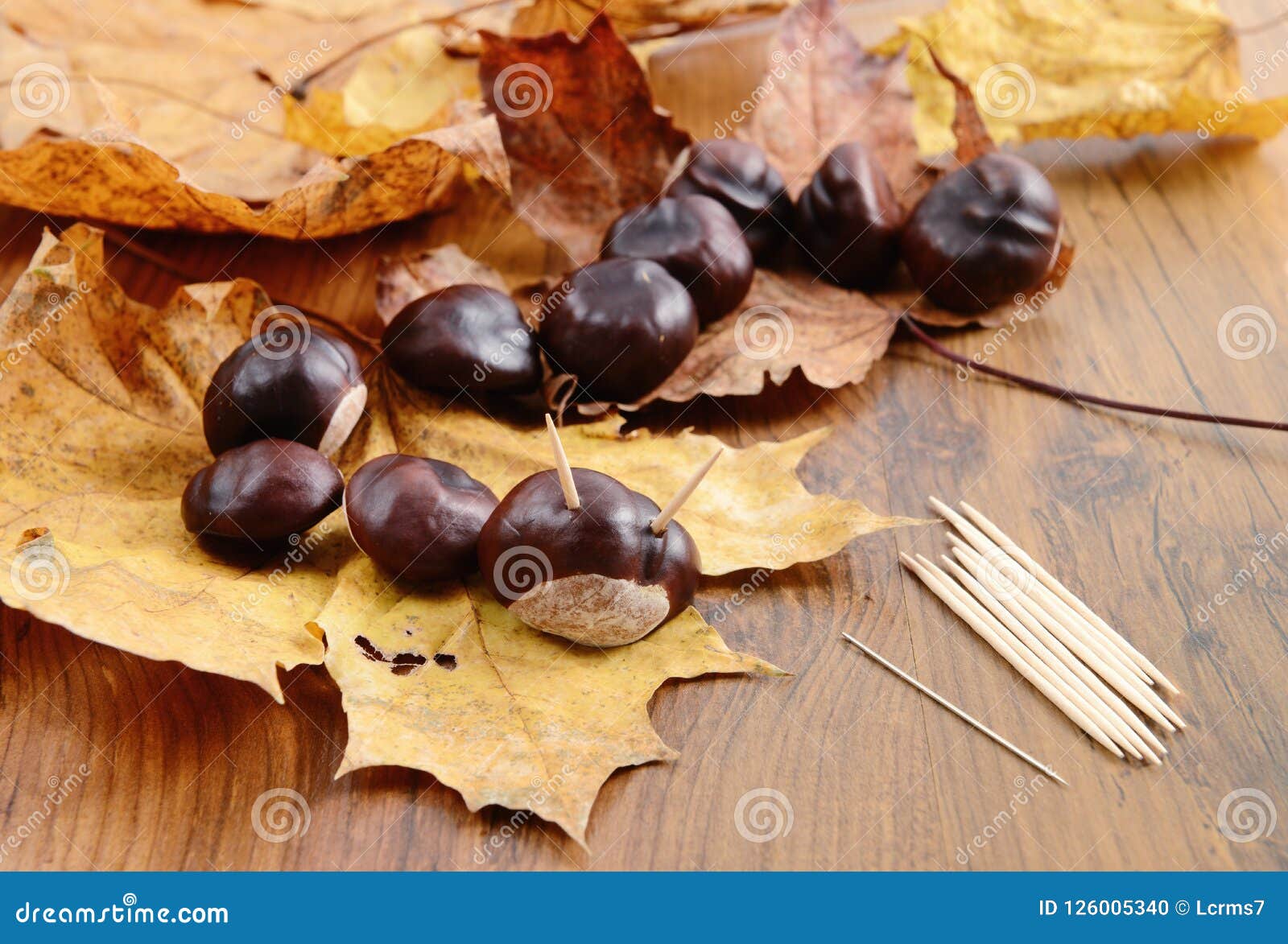 Autumn Tinker Creative Figures of Chestnuts Stock Photo - Image of ...