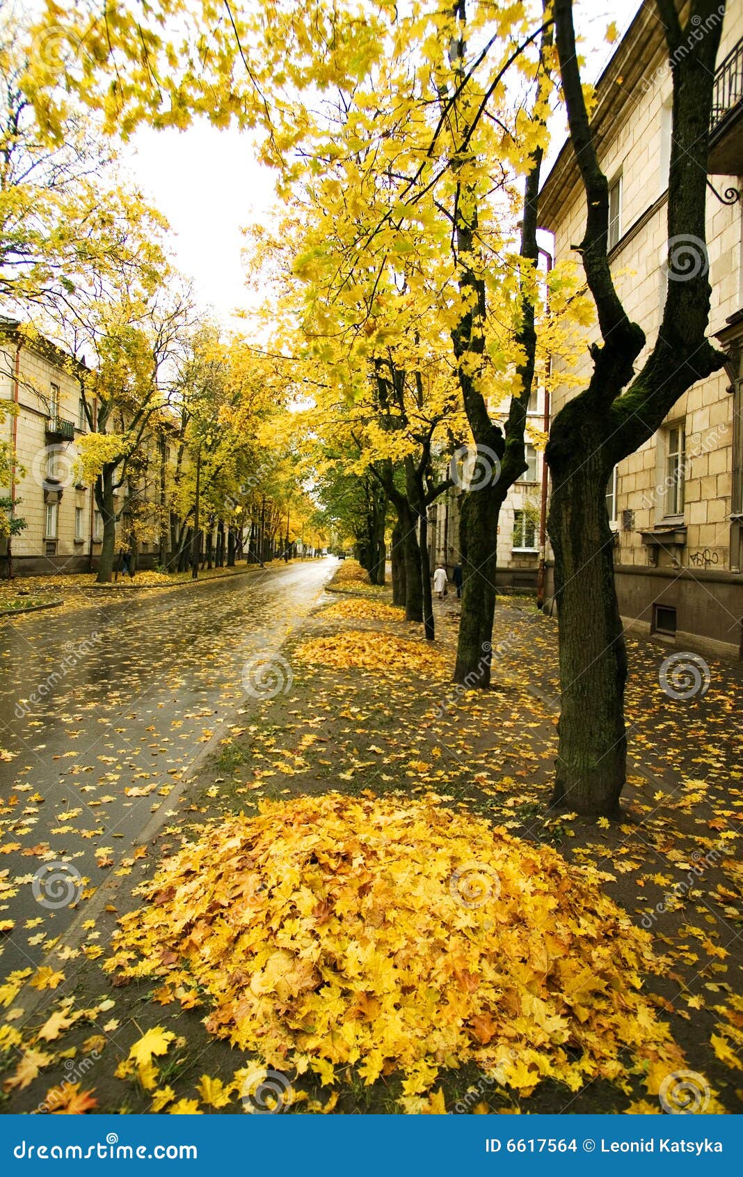 Autumn in town stock photo. Image of rain, cold, asphalt - 6617564