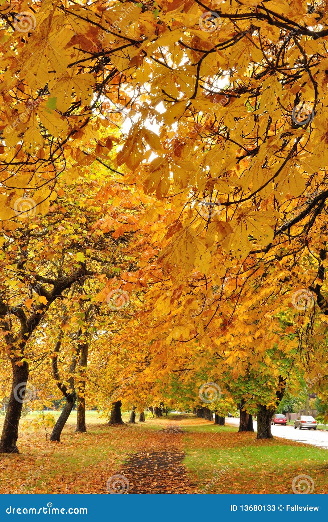 Autumn trail stock image. Image of field, nature, colors - 13680133