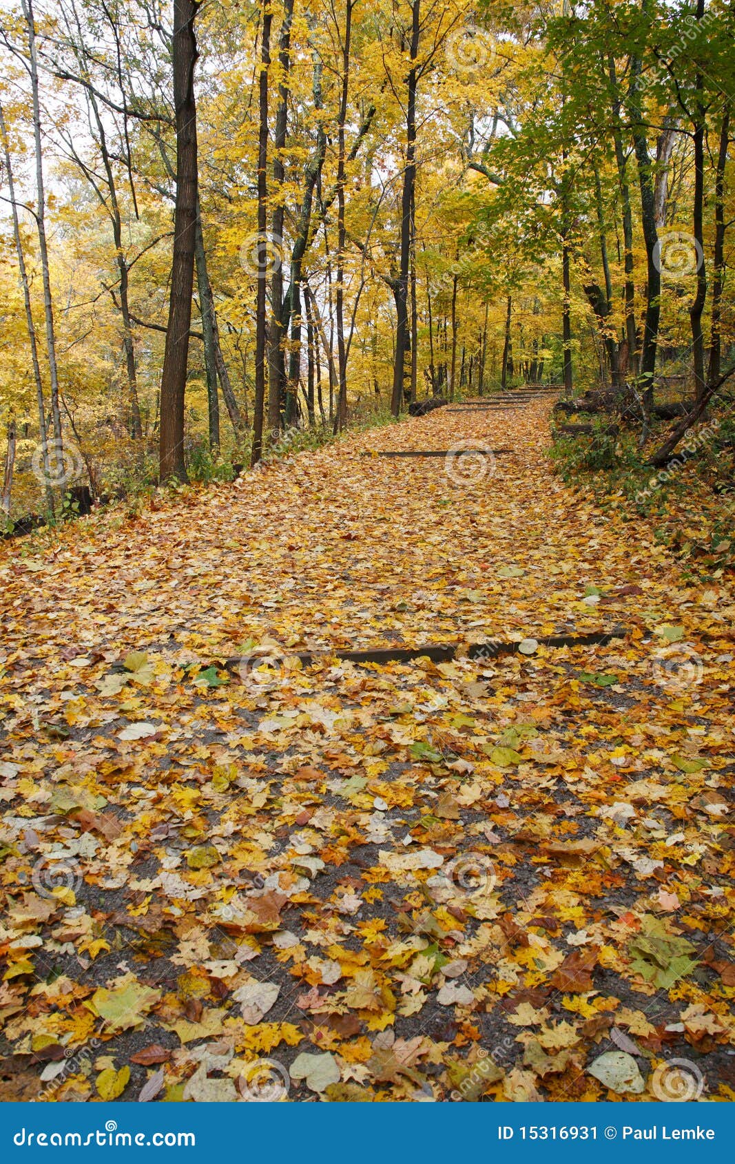 Autumn Trail Picture. Image: 15316931