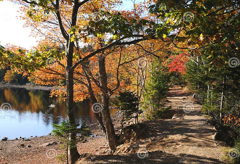Autumn Trail stock image. Image of trail, nature, lake - 6707455