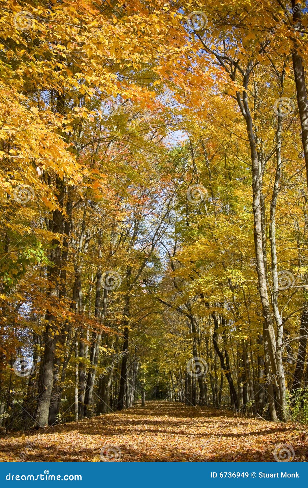 Autumn trail stock image. Image of foliage, landscape - 6736949