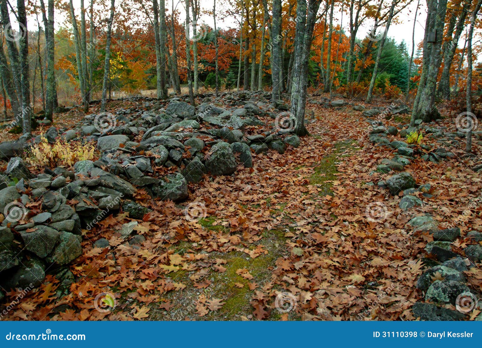 Autumn Trail stock photo. Image of summer, traveled, autumn - 31110398