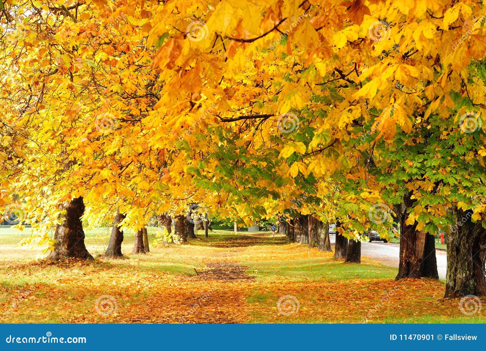 Autumn trail in park stock image. Image of beacon, landscapes - 11470901