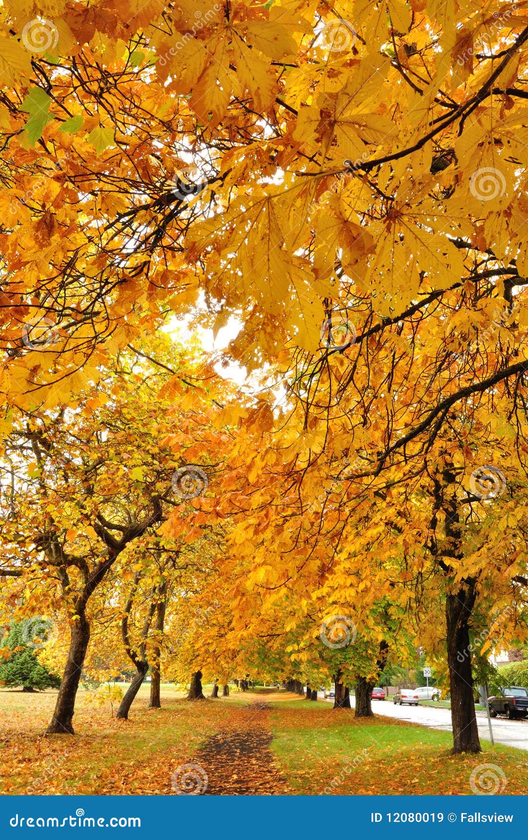 Autumn trail in park stock image. Image of ground, park - 12080019