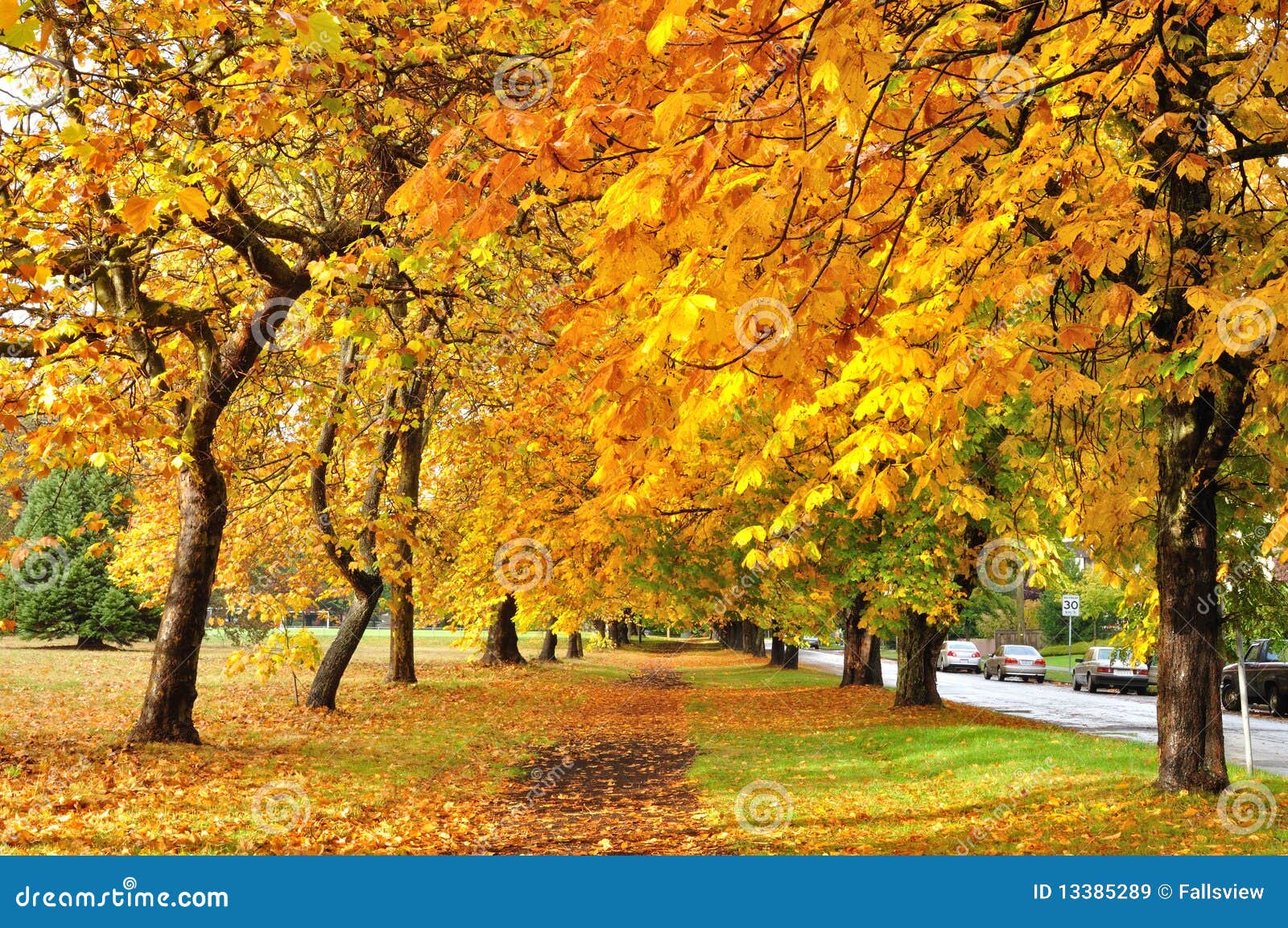 Autumn trail in park stock image. Image of canada, fall - 13385289