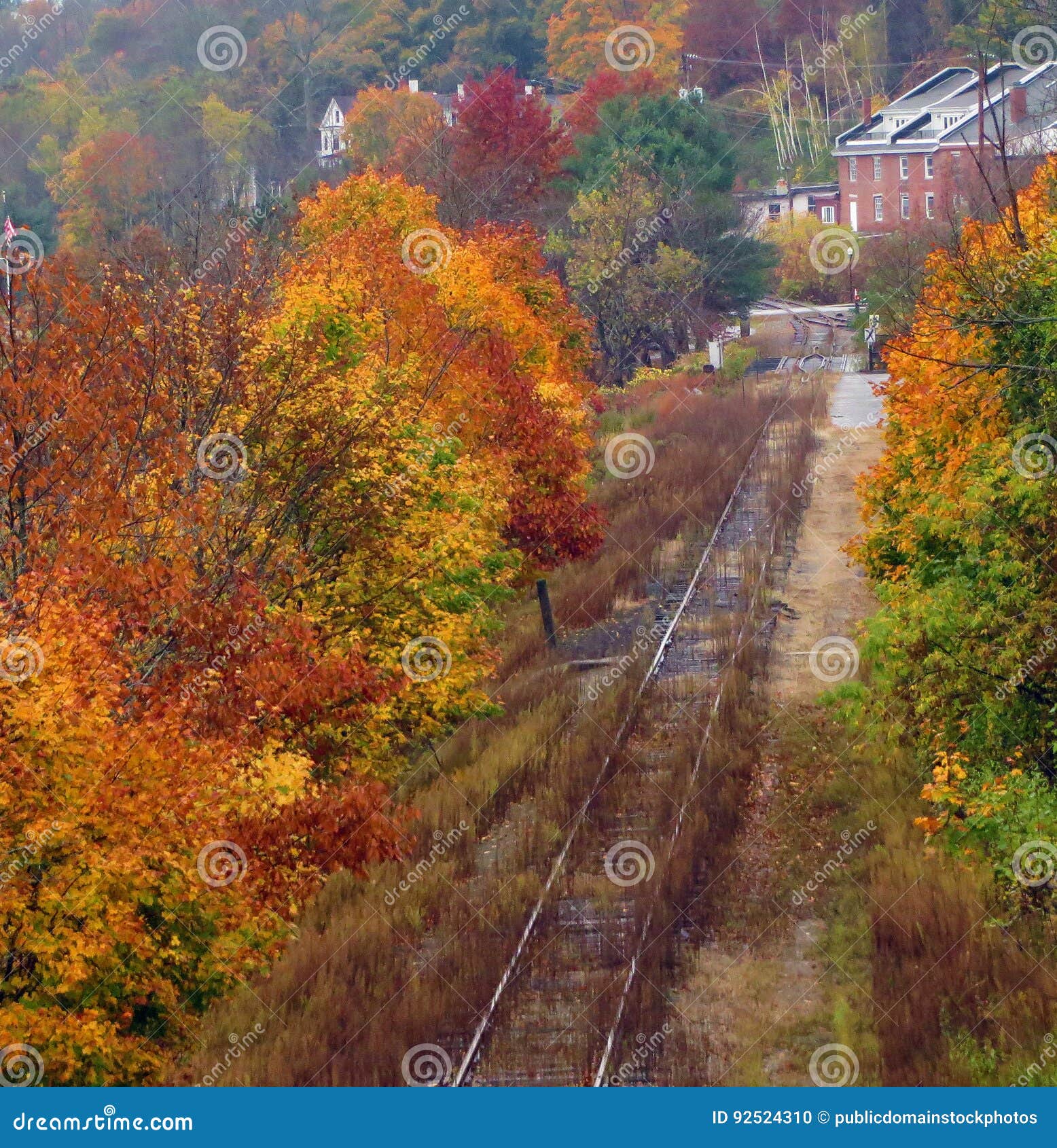 Autumn Train Tracks Picture. Image: 92524310