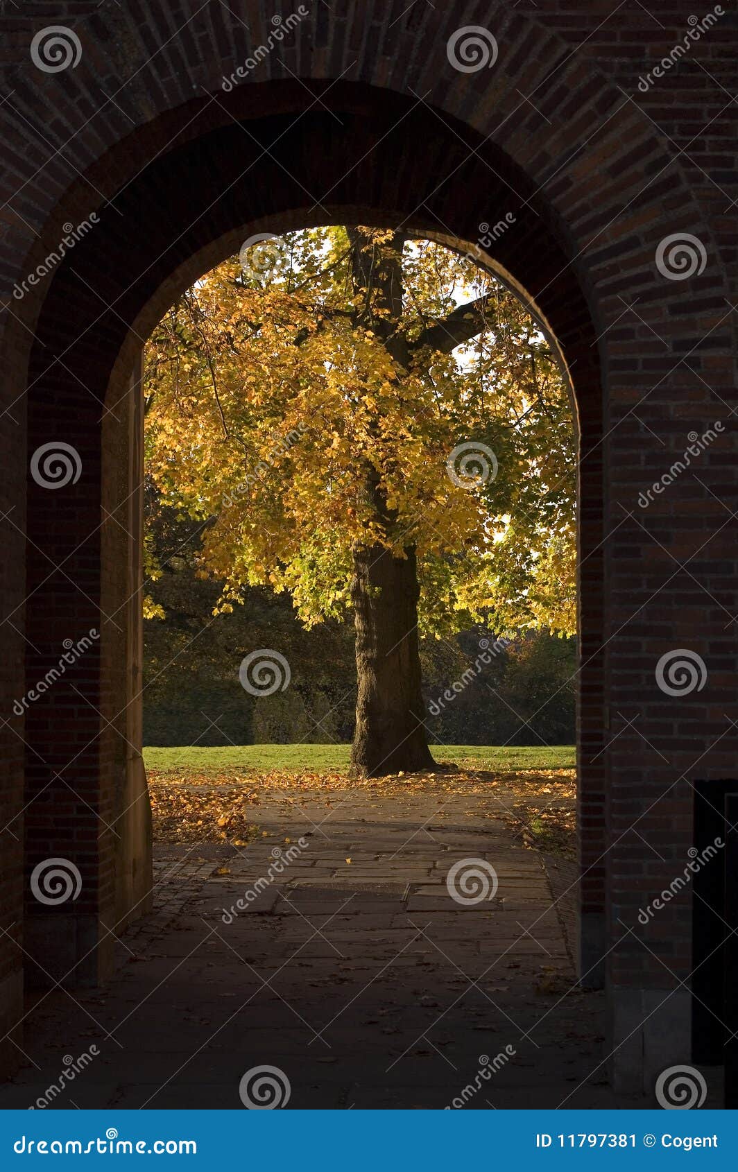 Autumn Tree through Archway Stock Image - Image of autumn, sunlight ...