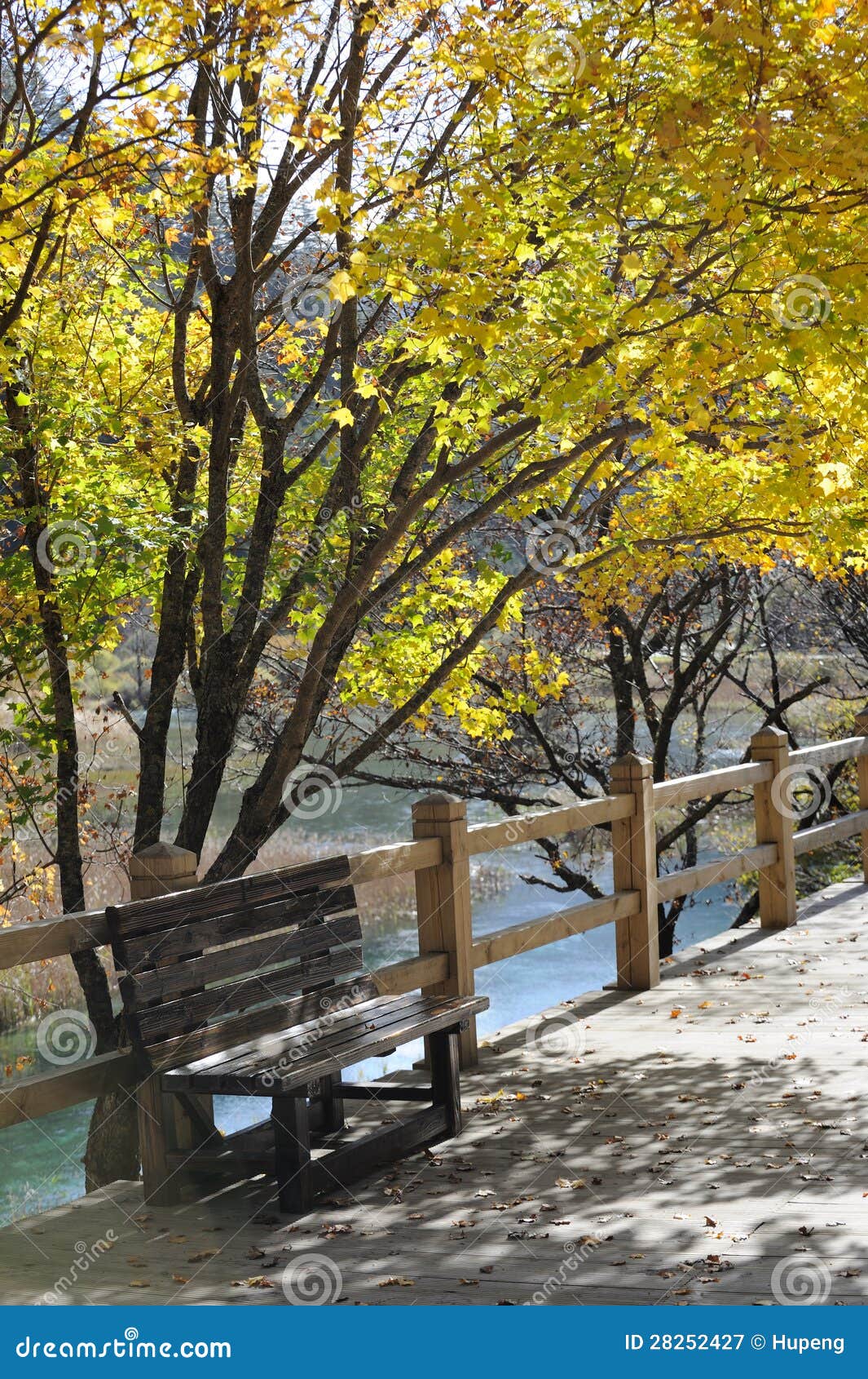 Autumn tree with bench stock image. Image of fall, background - 28252427
