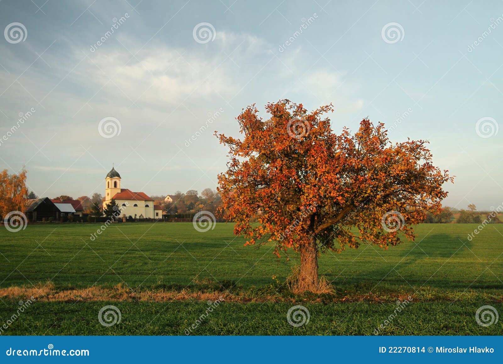 Autumn tree and church stock photo. Image of scenery - 22270814