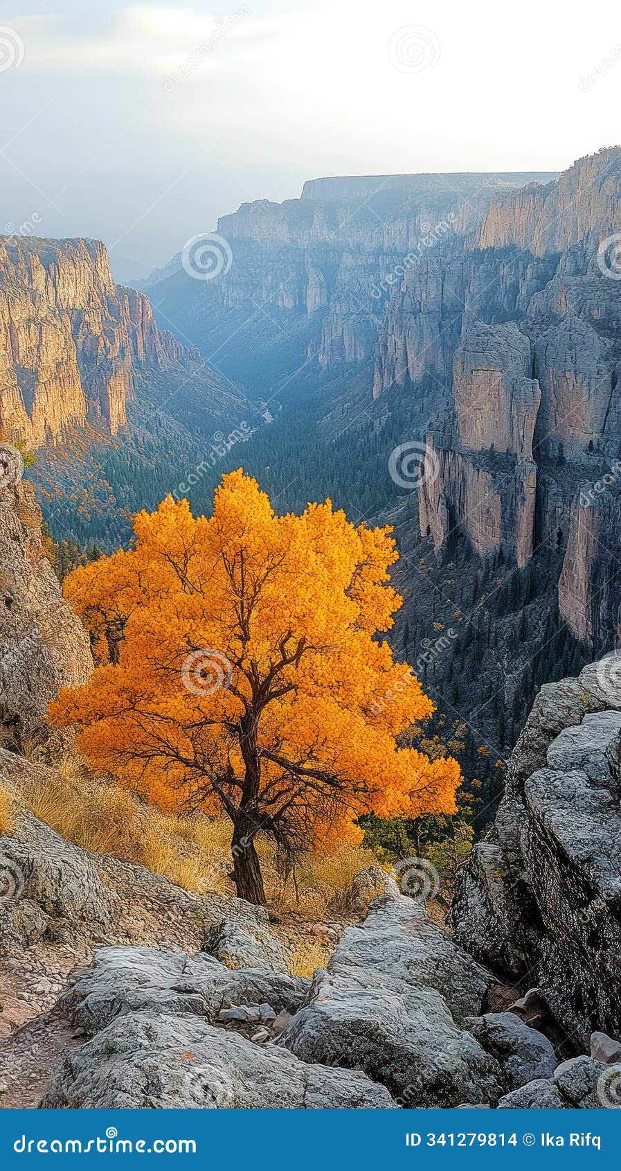 Autumn Tree on a Cliffside, Realistic Photograph Stock Illustration ...