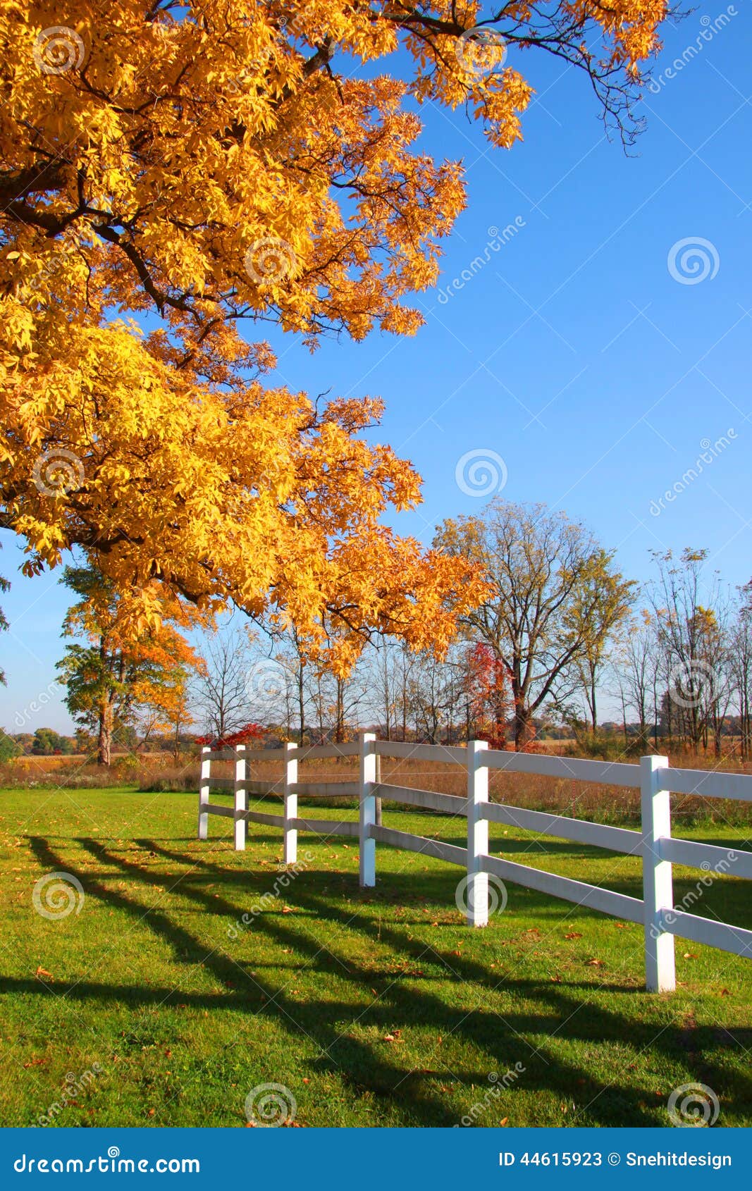 Autumn tree and fence stock image. Image of landscape - 44615923