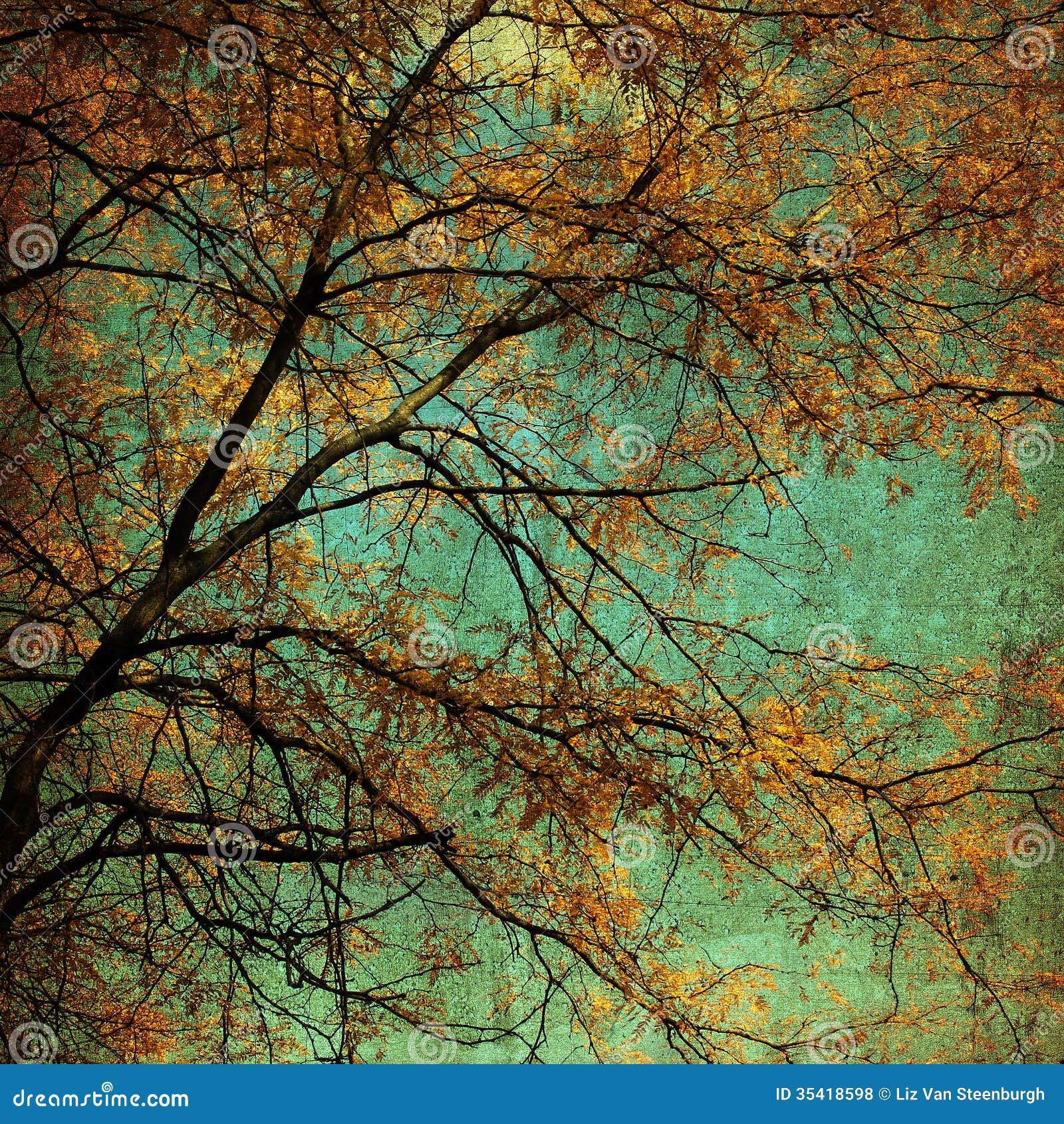 Autumn Tree Grunge stock photo. Image of trees, fall - 35418598