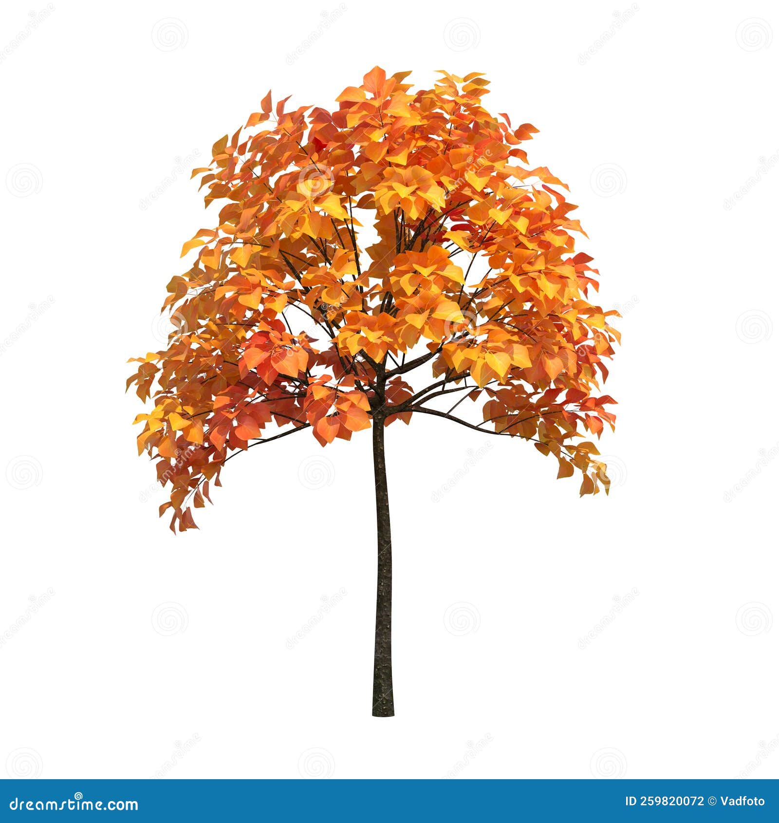 Autumn Tree Isolated on White Background Stock Illustration ...