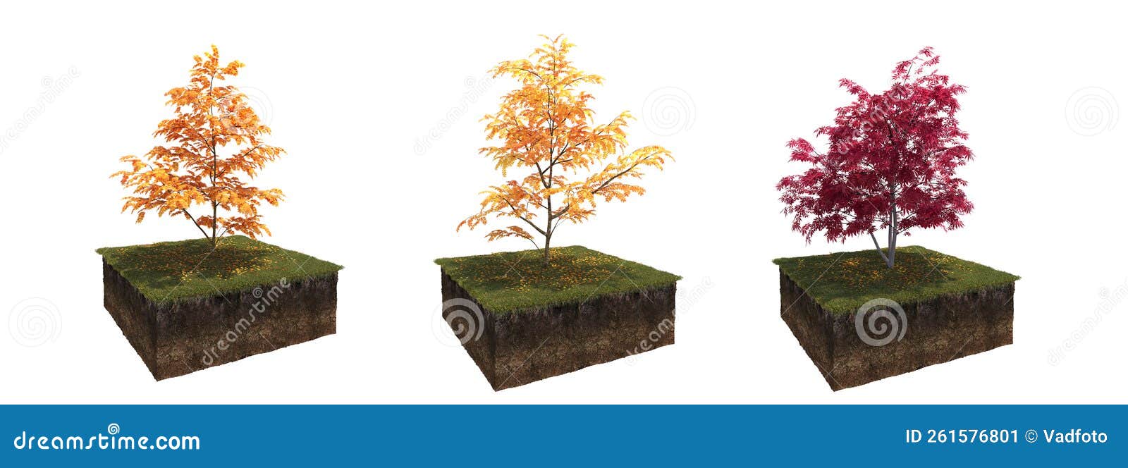 Autumn Tree Isolated on White Background Stock Illustration ...