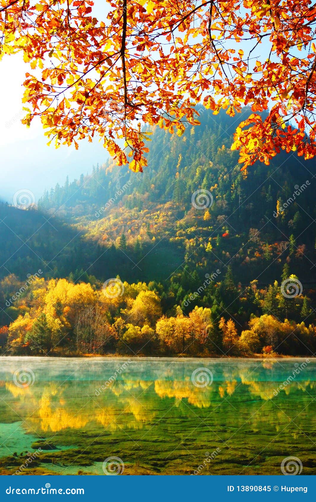 Invert Tree Royalty-Free Stock Photography | CartoonDealer.com #48480833