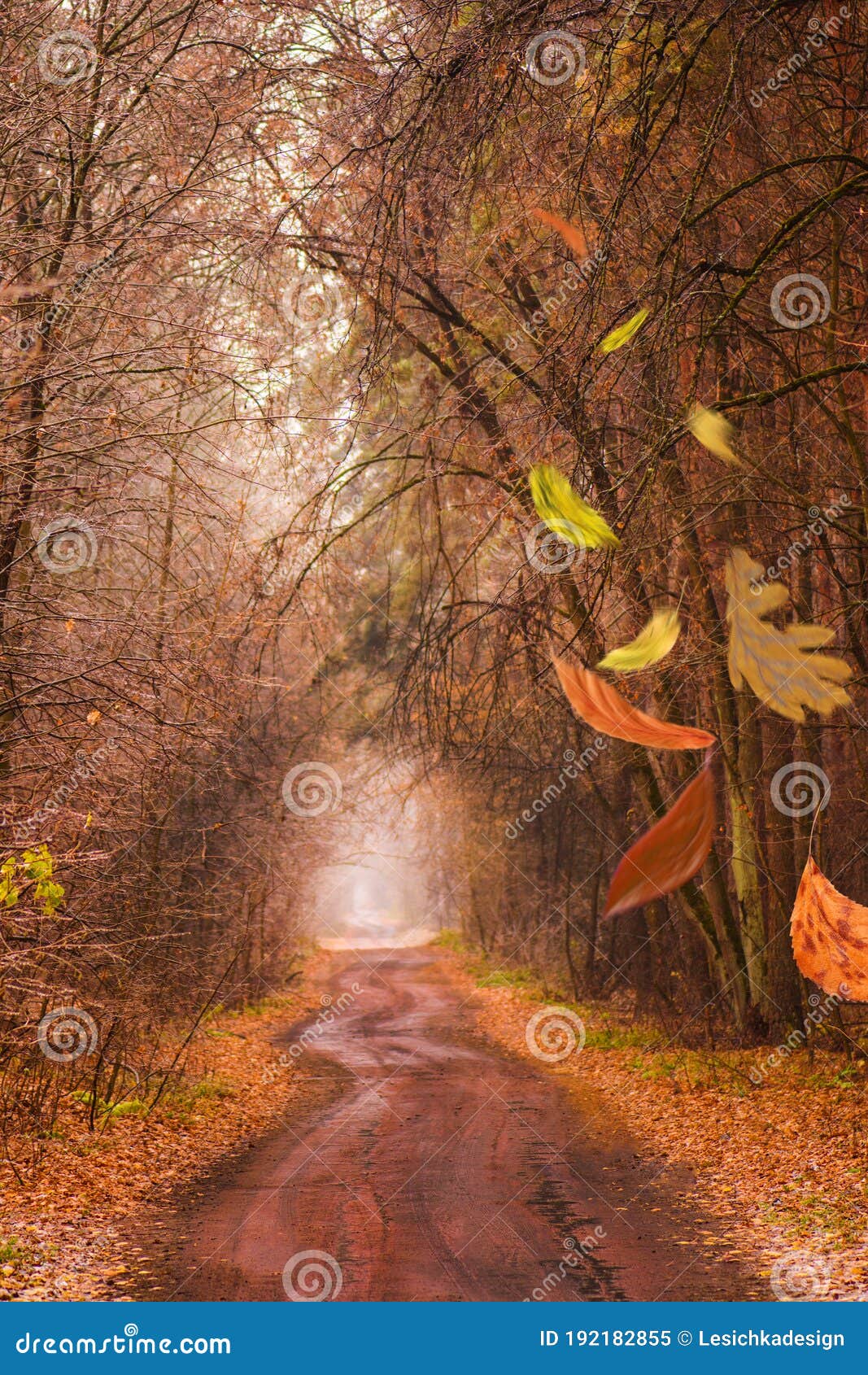 Autumn Tree Leaves Falling on Nature Background Stock Image - Image of ...