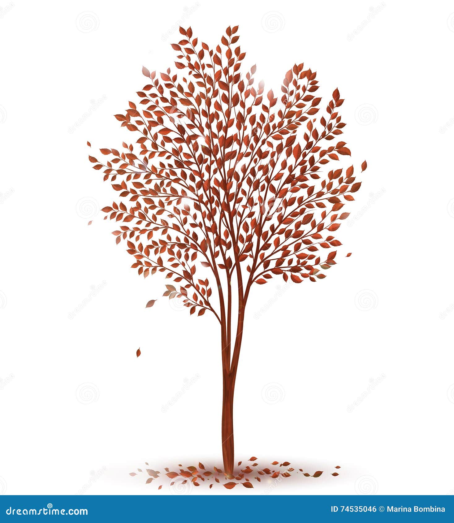 Autumn Tree with Leaves on White Background Stock Vector - Illustration ...