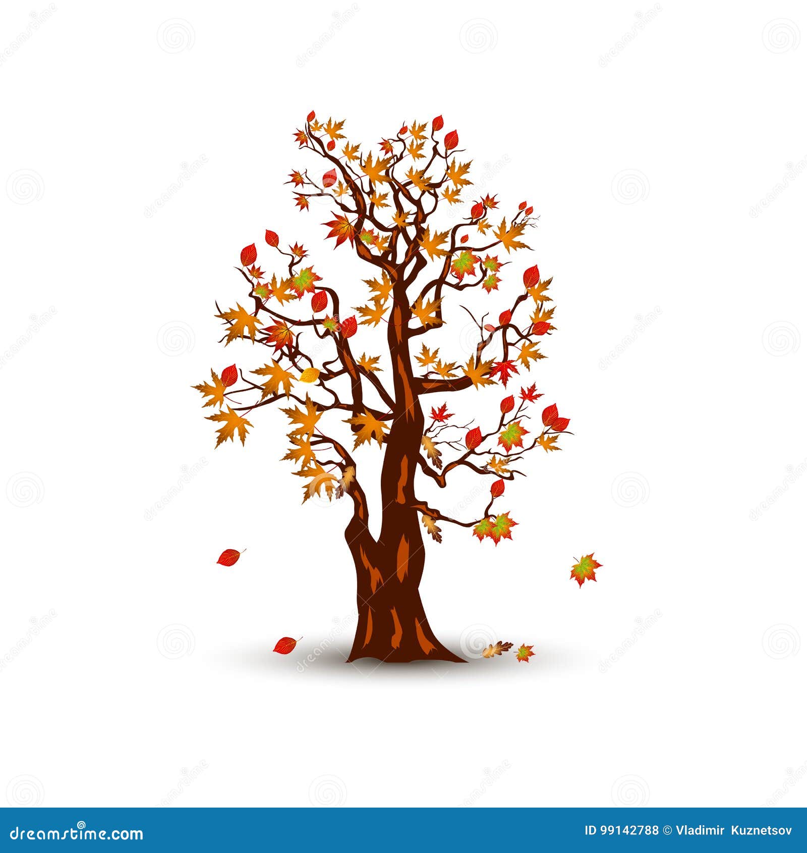 Autumn Tree with Maple Leaves, Cartoon on White Background. Stock ...