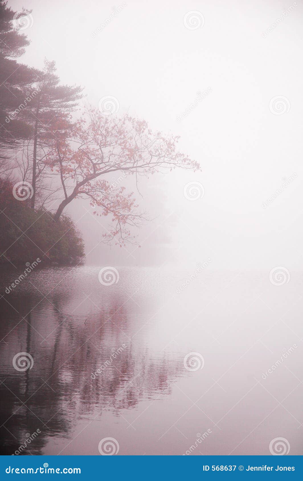 Autumn Tree and Pond in Mist Stock Image - Image of mist, ripples: 568637