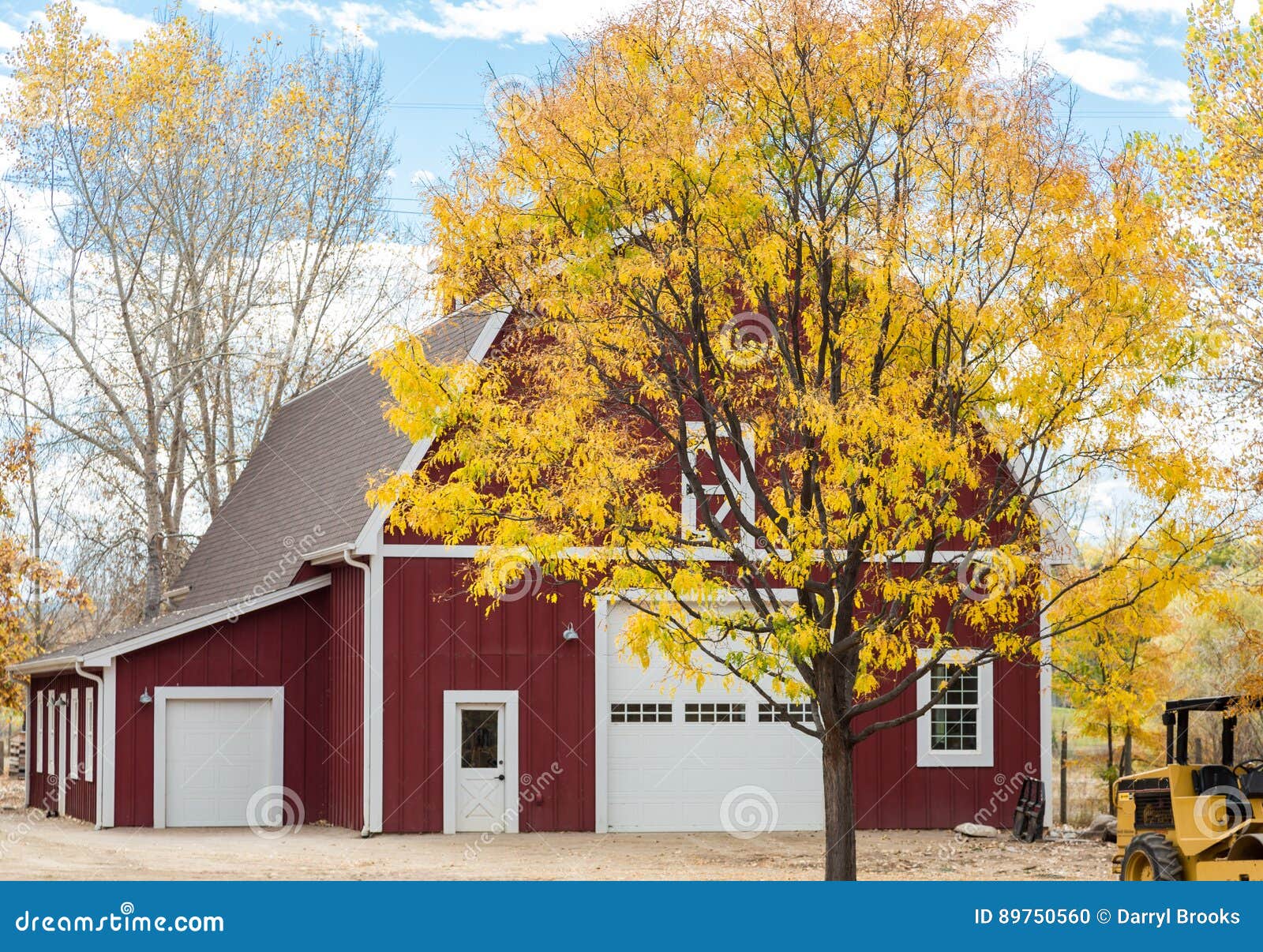 Autumn Tree by Red Barn stock photo. Image of rustic - 89750560
