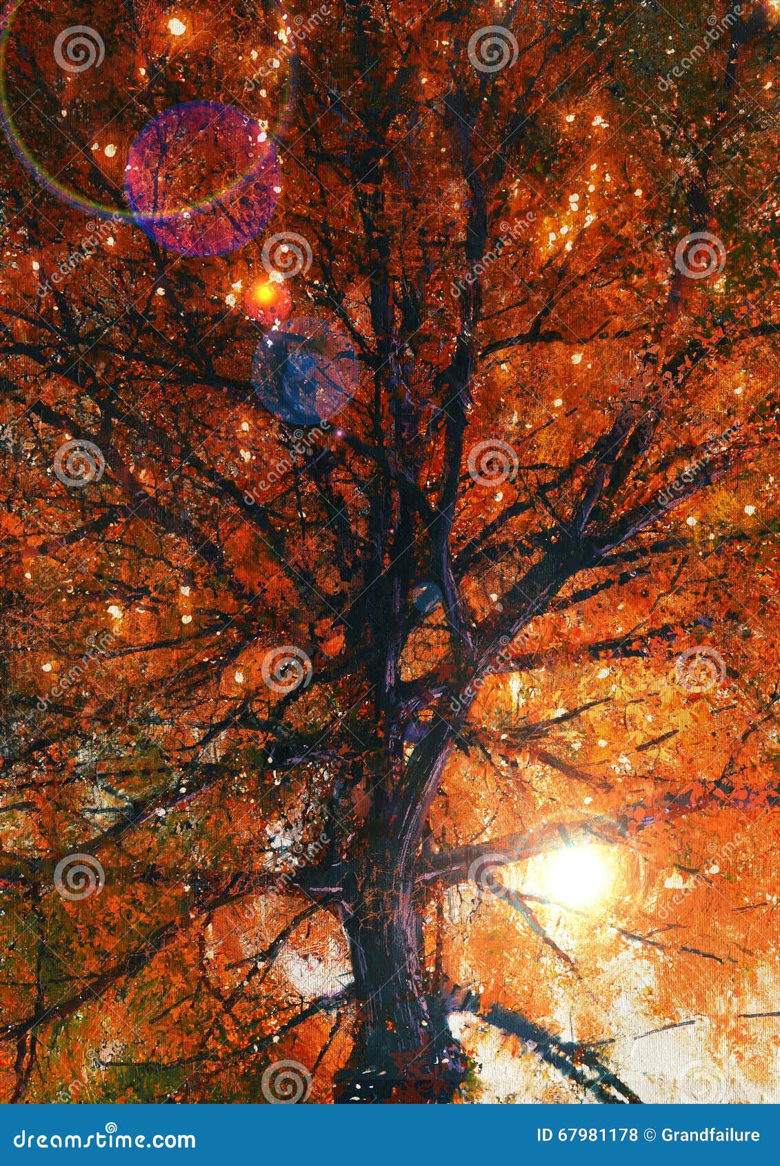 Autumn Tree and Red Leaves in Sun Ray Stock Photo - Image of ...