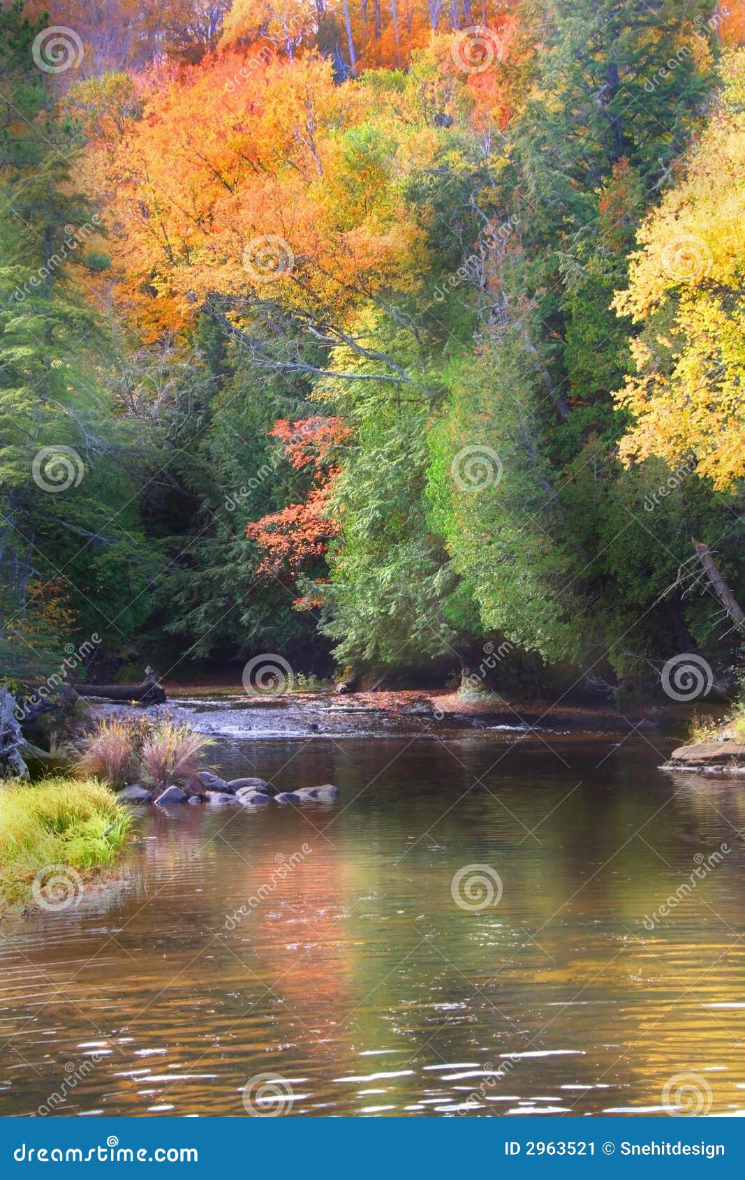 Autumn Tree Reflection stock image. Image of scenics, rainbow - 2963521