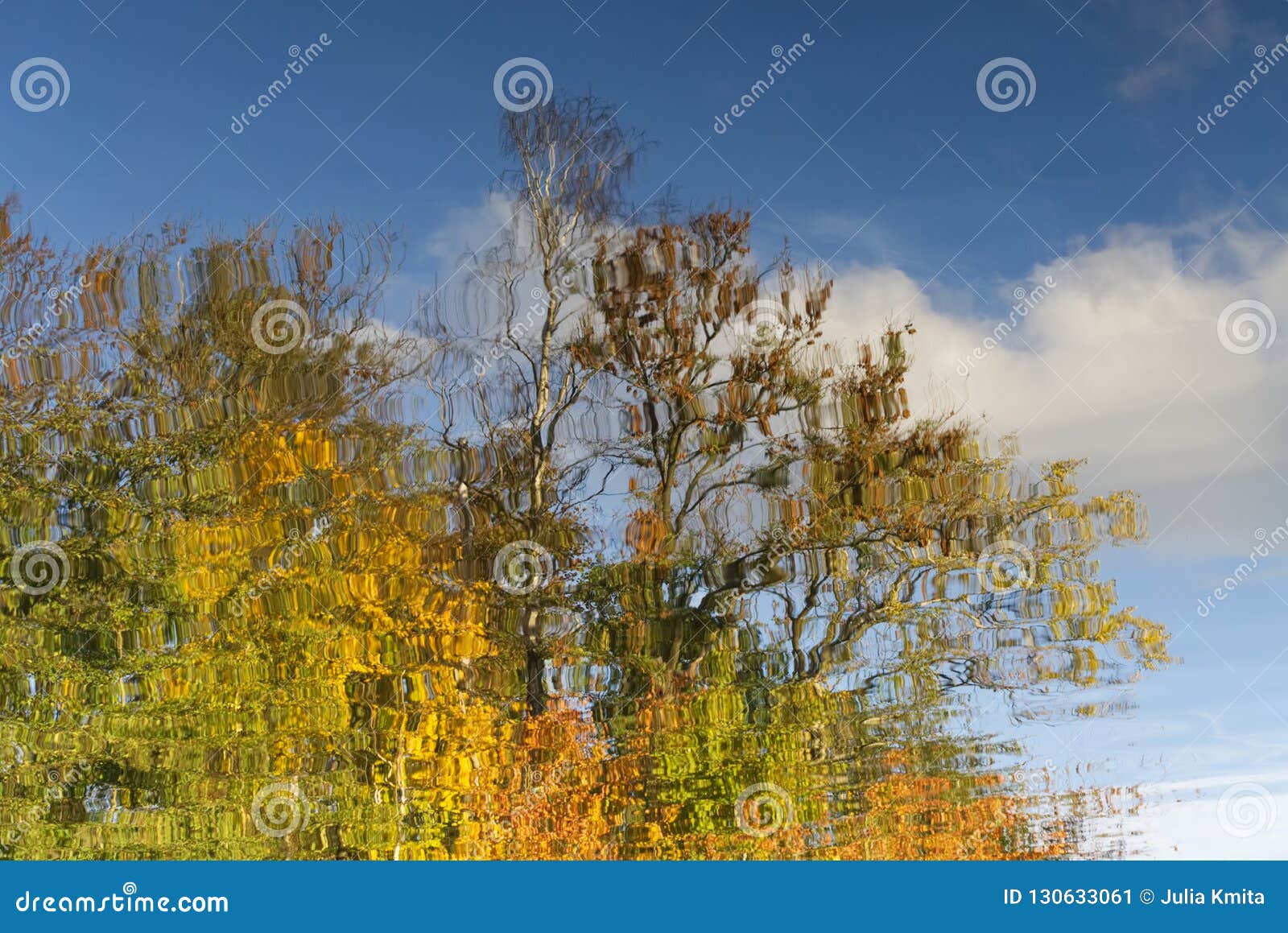 Autumn Tree Reflection in Water Stock Image - Image of water, nature ...