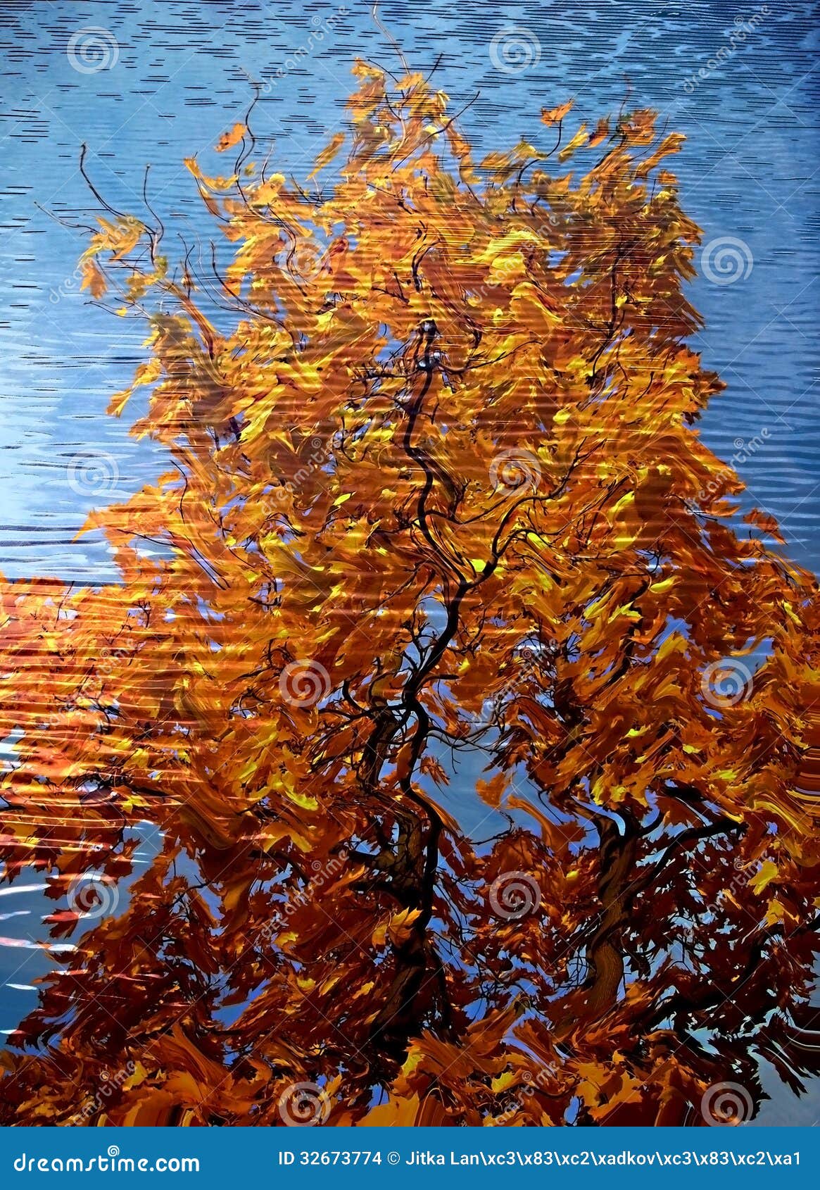 Autumn Tree Reflection on Water Stock Photo - Image of structure, color ...