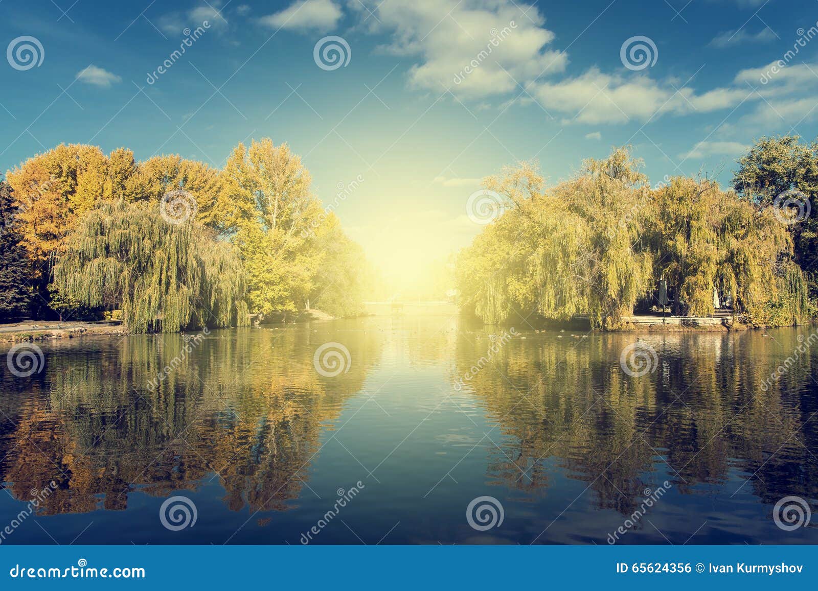 Autumn Tree Reflection in Water Lake at Daytime Stock Photo - Image of ...