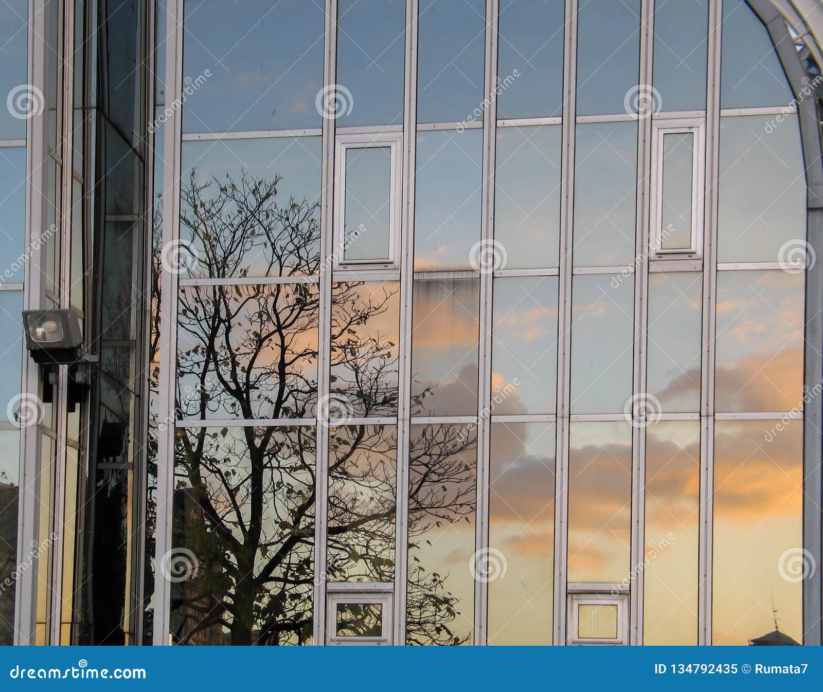 Autumn Tree Reflection in Window at Sunset. Paris Stock Image - Image ...