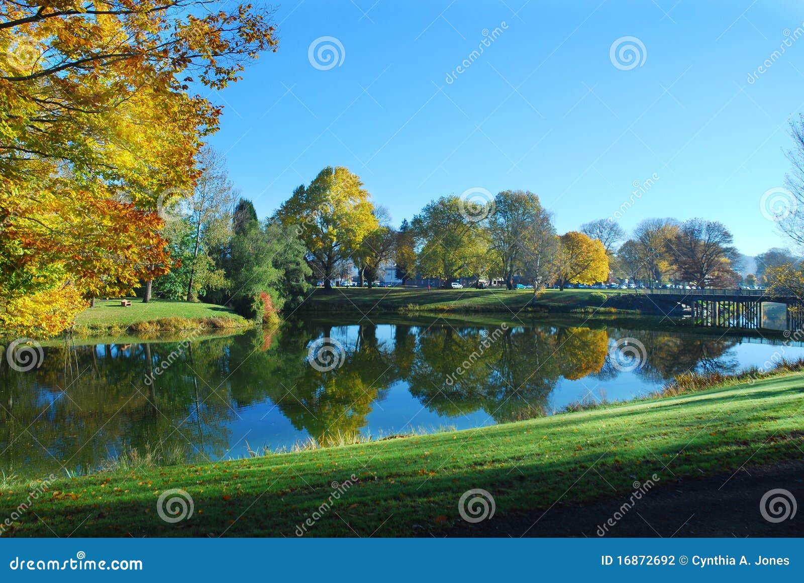 Autumn Tree Reflections stock photo. Image of park, orange - 16872692