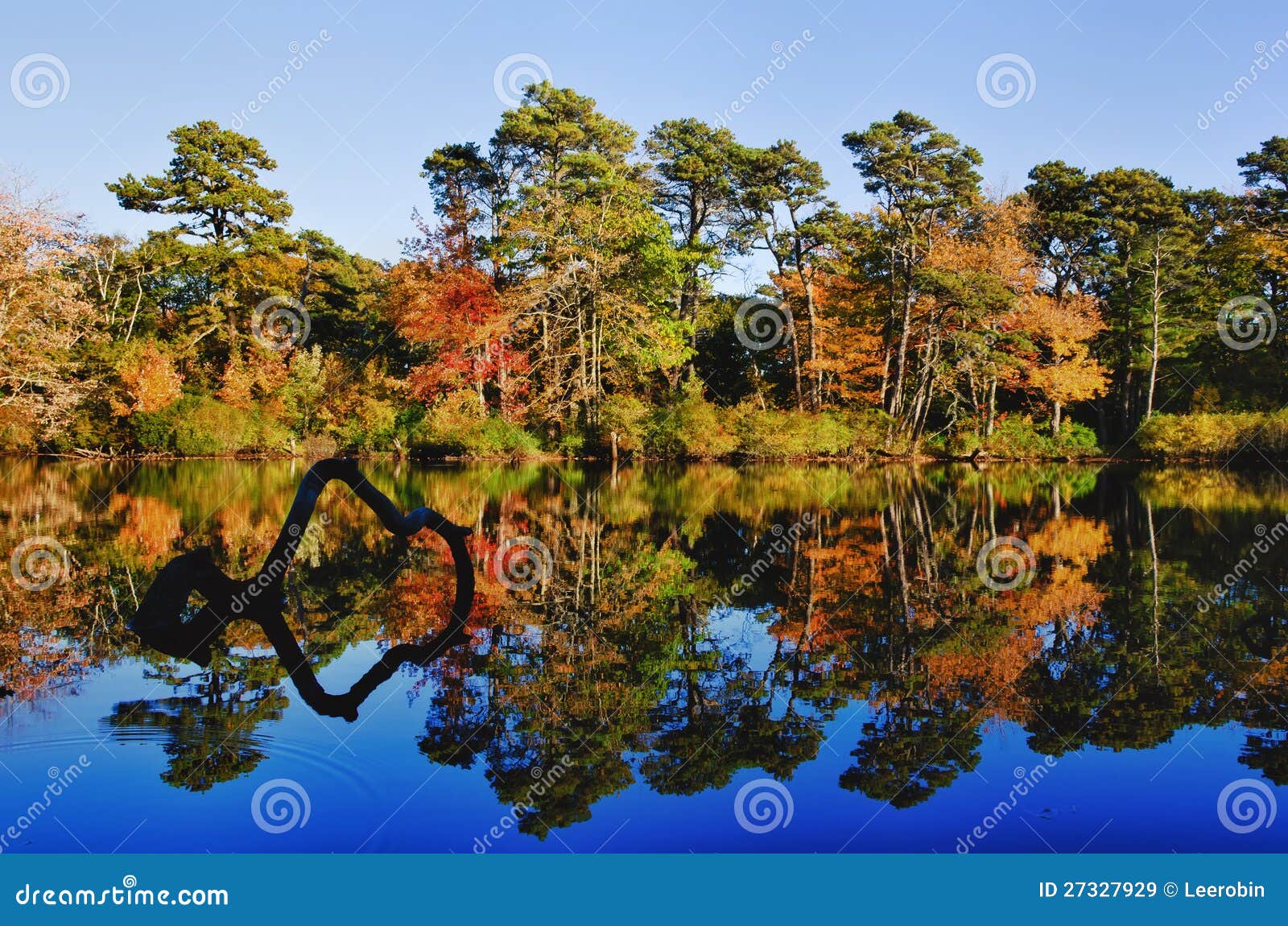 Autumn tree reflections stock image. Image of lake, reflection - 27327929