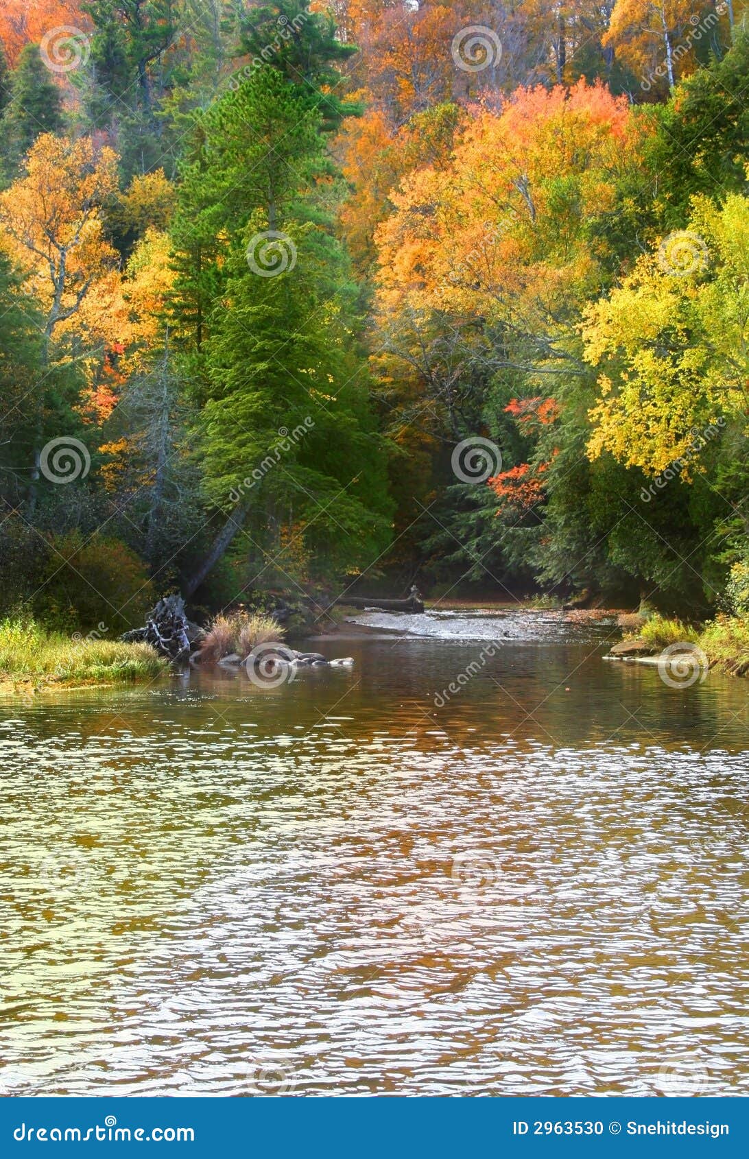 Autumn Tree Reflections stock photo. Image of lake, foliage - 2963530