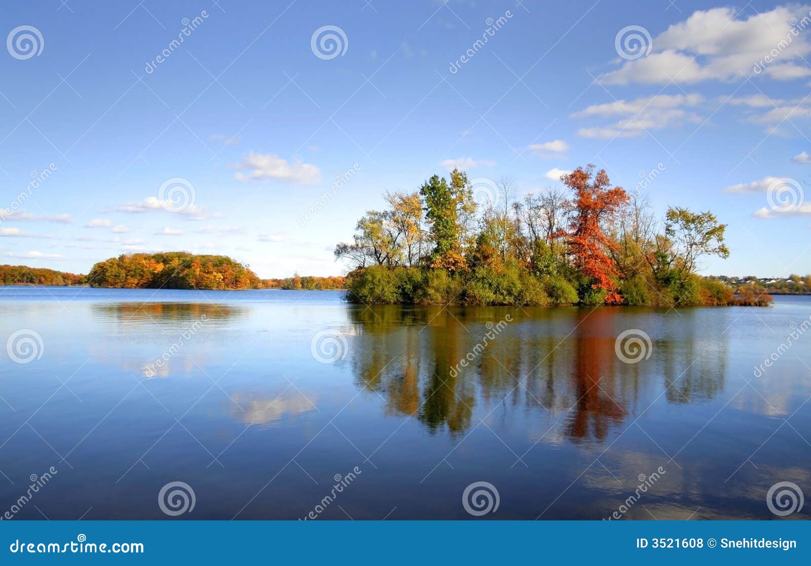 Autumn Tree Reflections stock photo. Image of season, autumn - 3521608