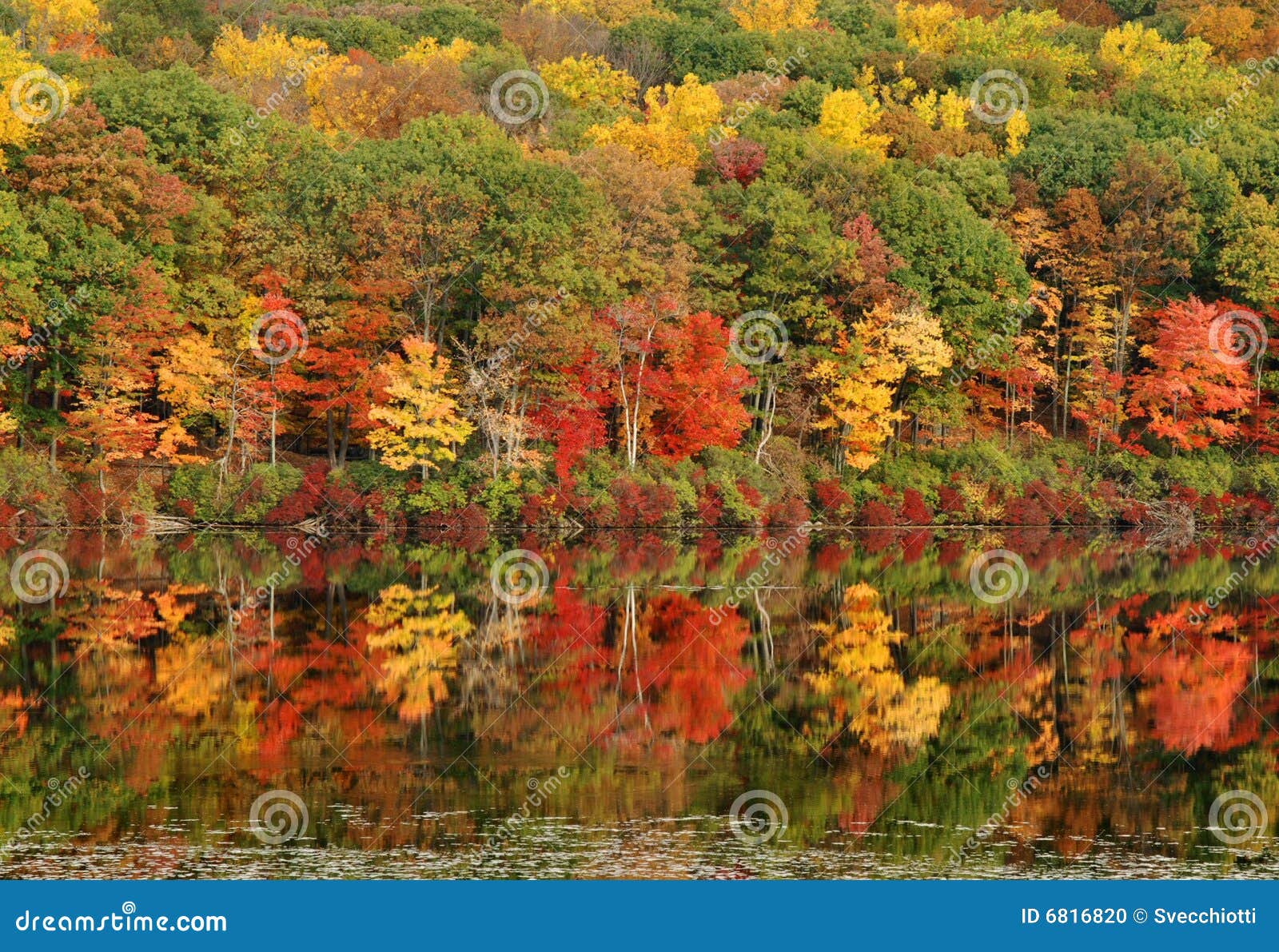 Autumn Tree Reflections stock photo. Image of harriman - 6816820