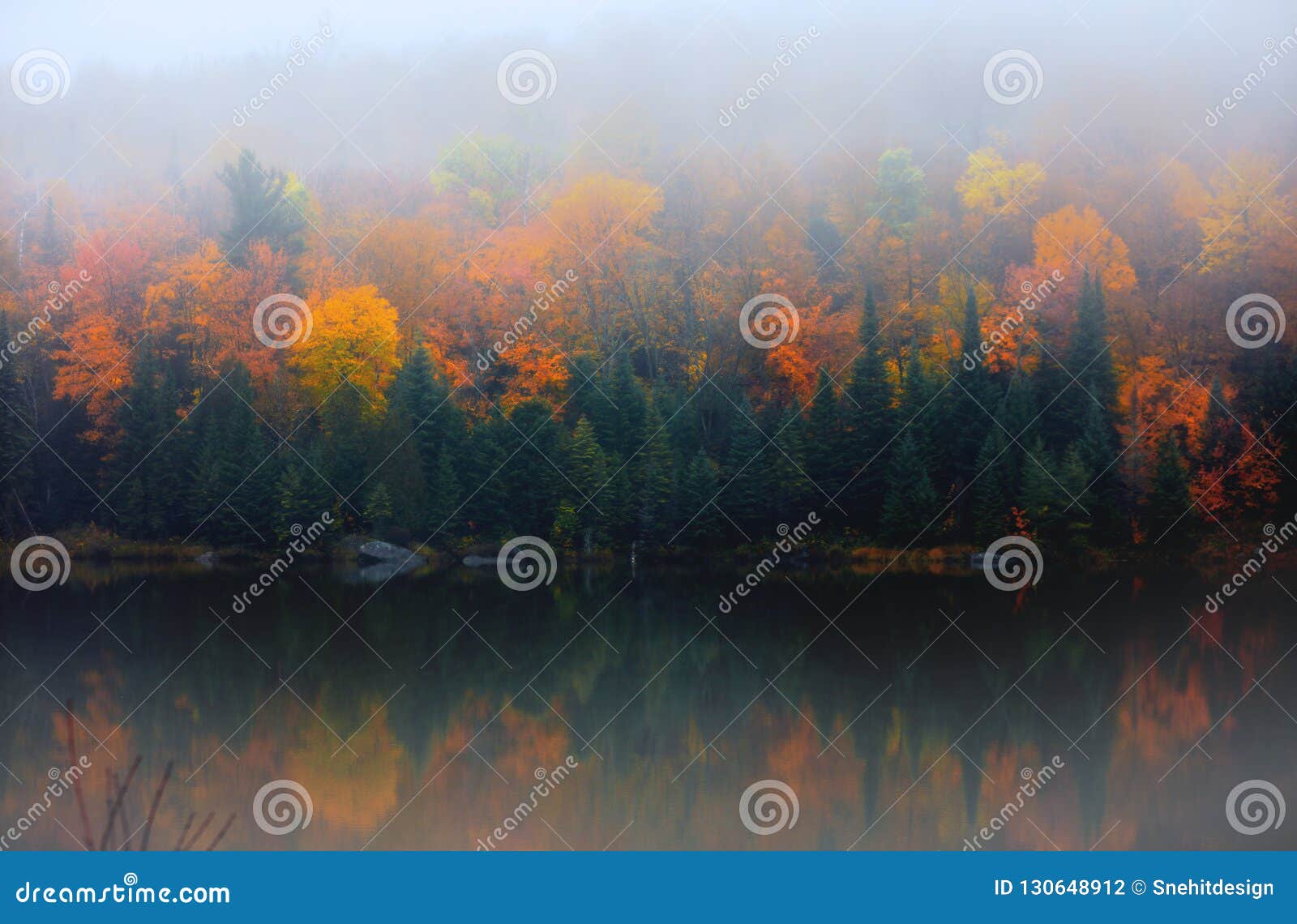 Autumn Tree Reflections in the Lake with Morning Mist Stock Photo ...