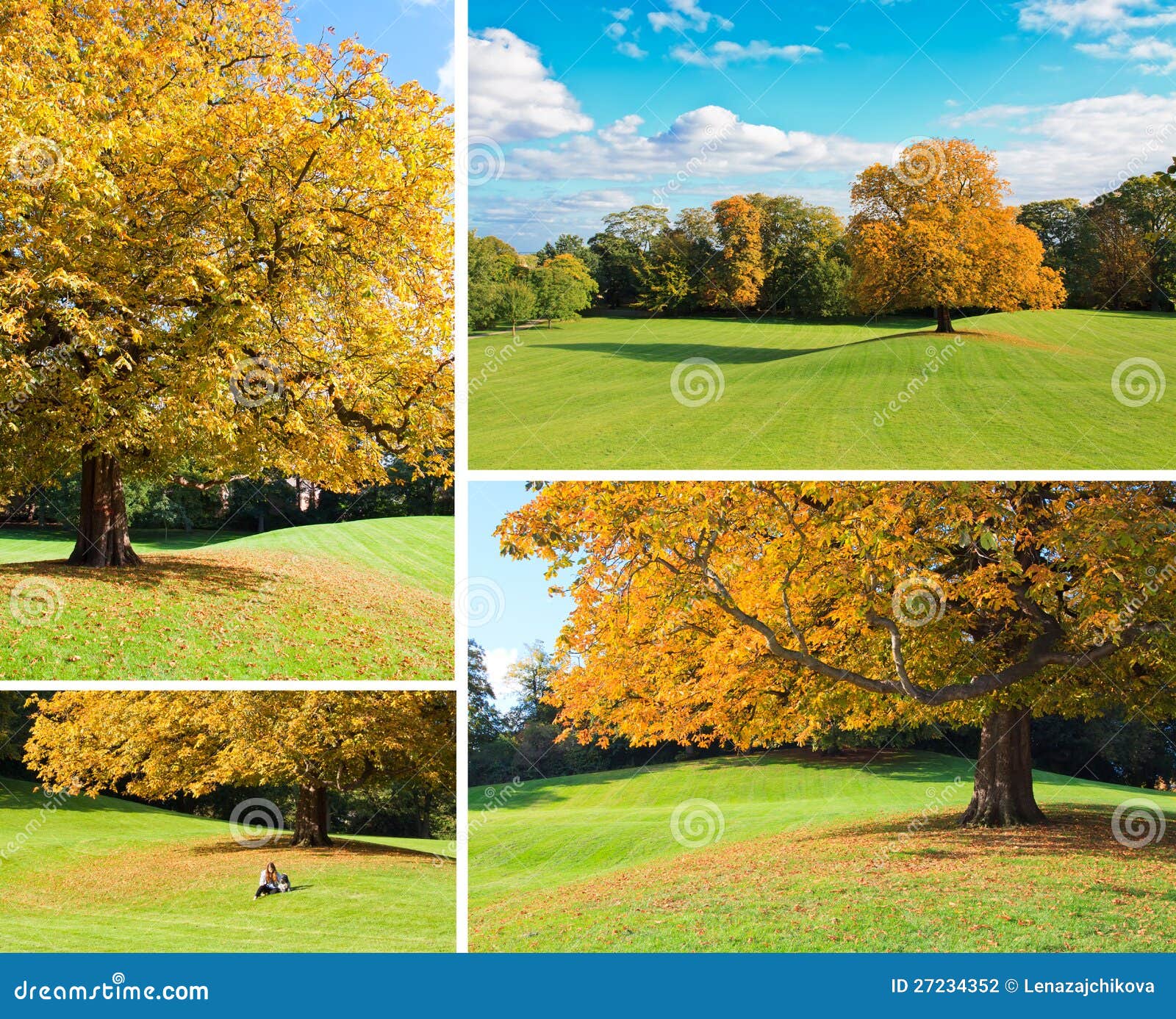 Autumn tree set stock photo. Image of tranquil, spring - 27234352