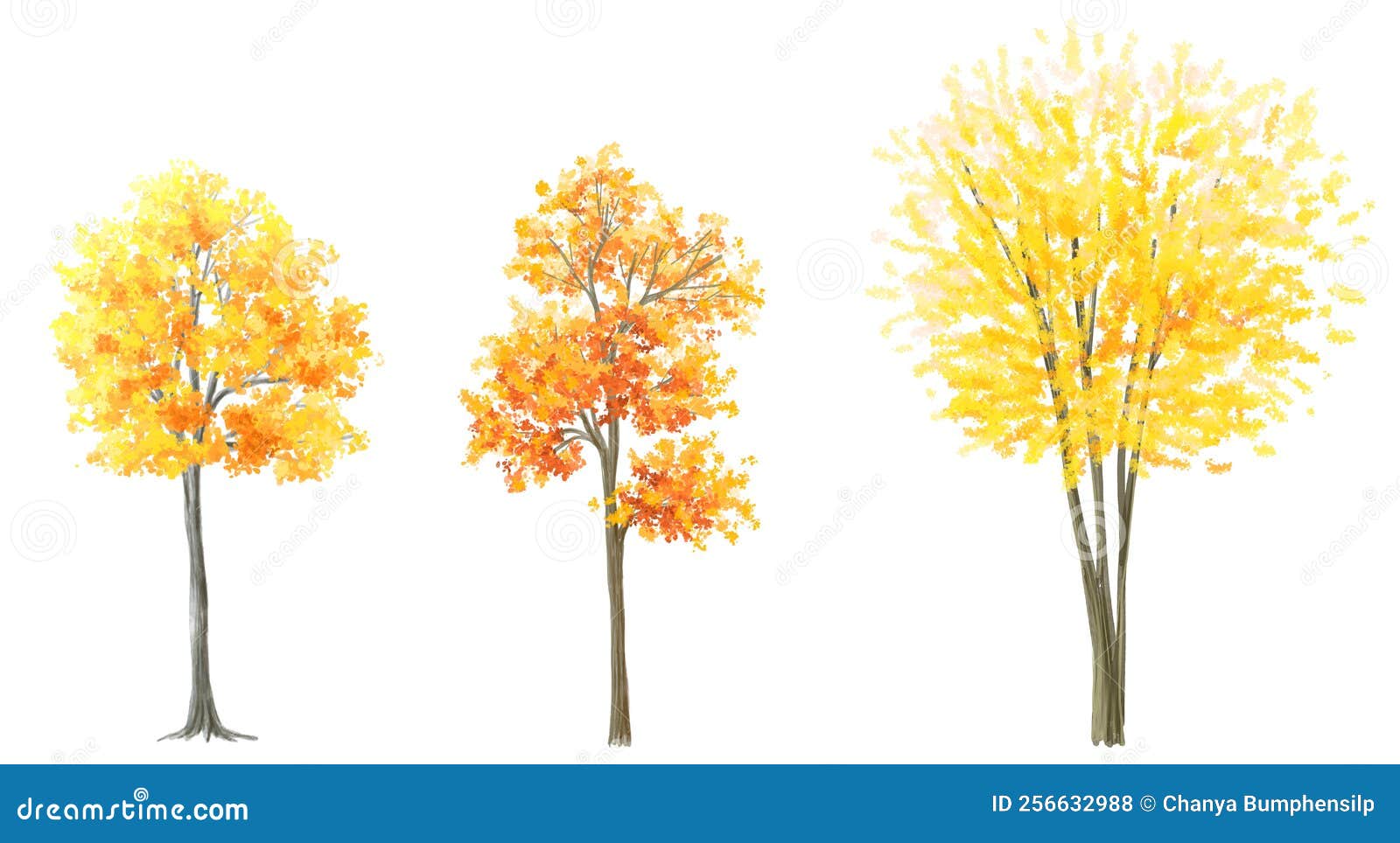 Watercolor Tree Side View for Landscape Stock Photo - Image of ...