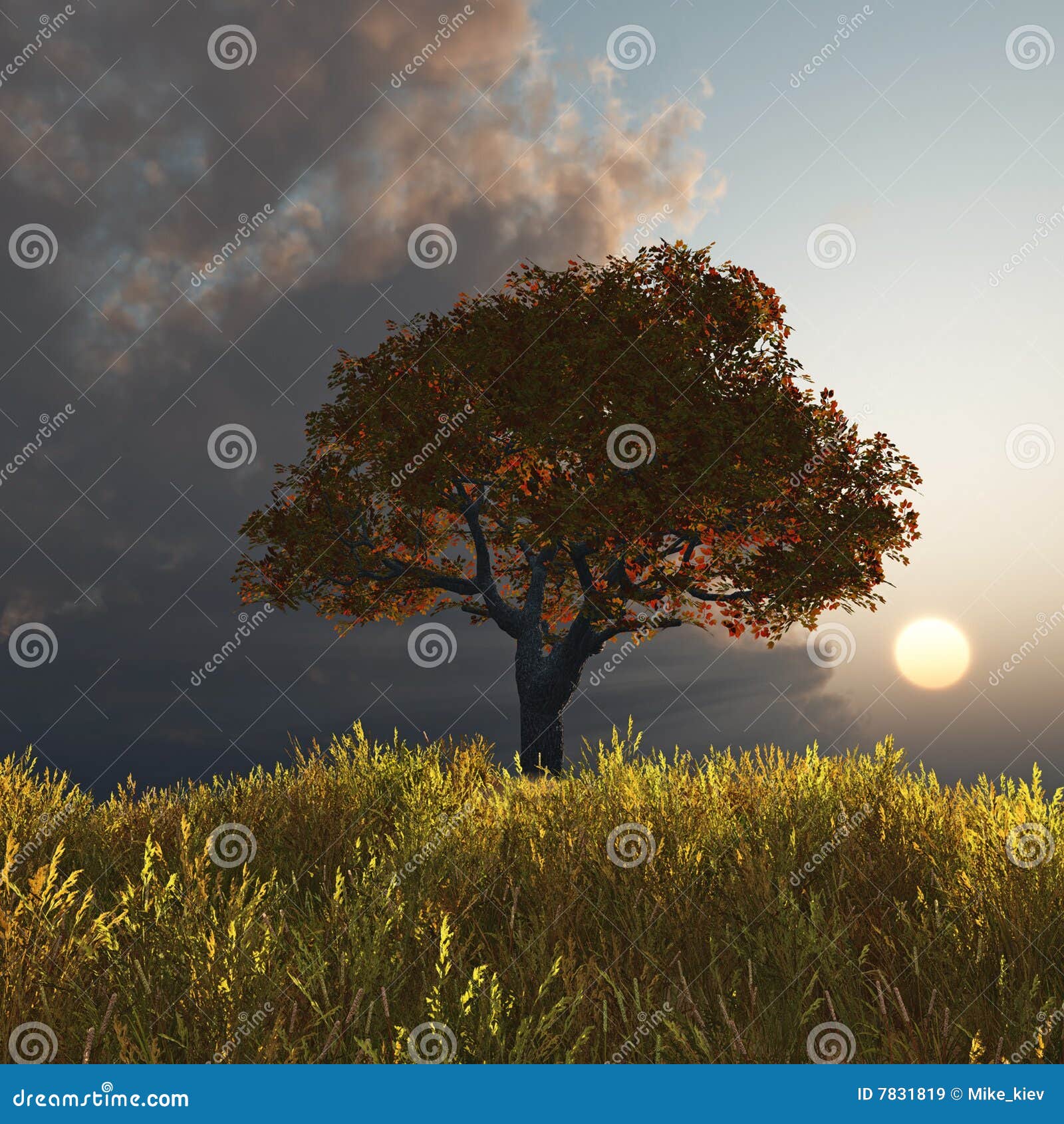 Autumn tree at sunset stock illustration. Illustration of color - 7831819