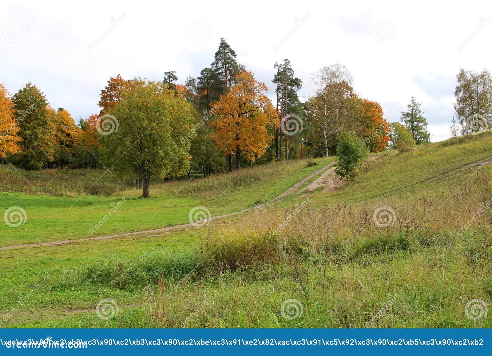 Autumn tree three stock image. Image of trees, nature - 127883395